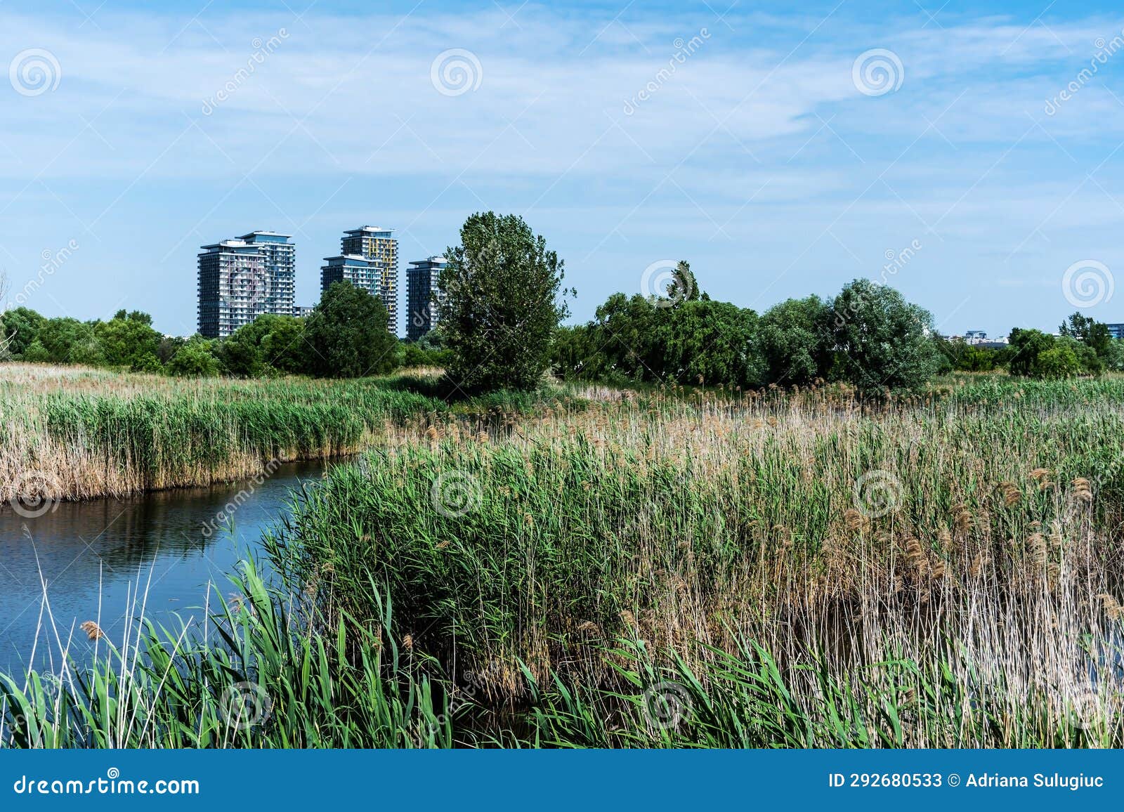Parque Natural Vacaresti Delta O Vacaresti Imagen de archivo - Imagen ...