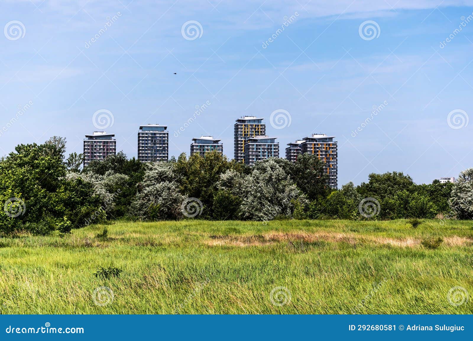 Parque Natural Vacaresti Delta O Vacaresti Imagen de archivo - Imagen ...