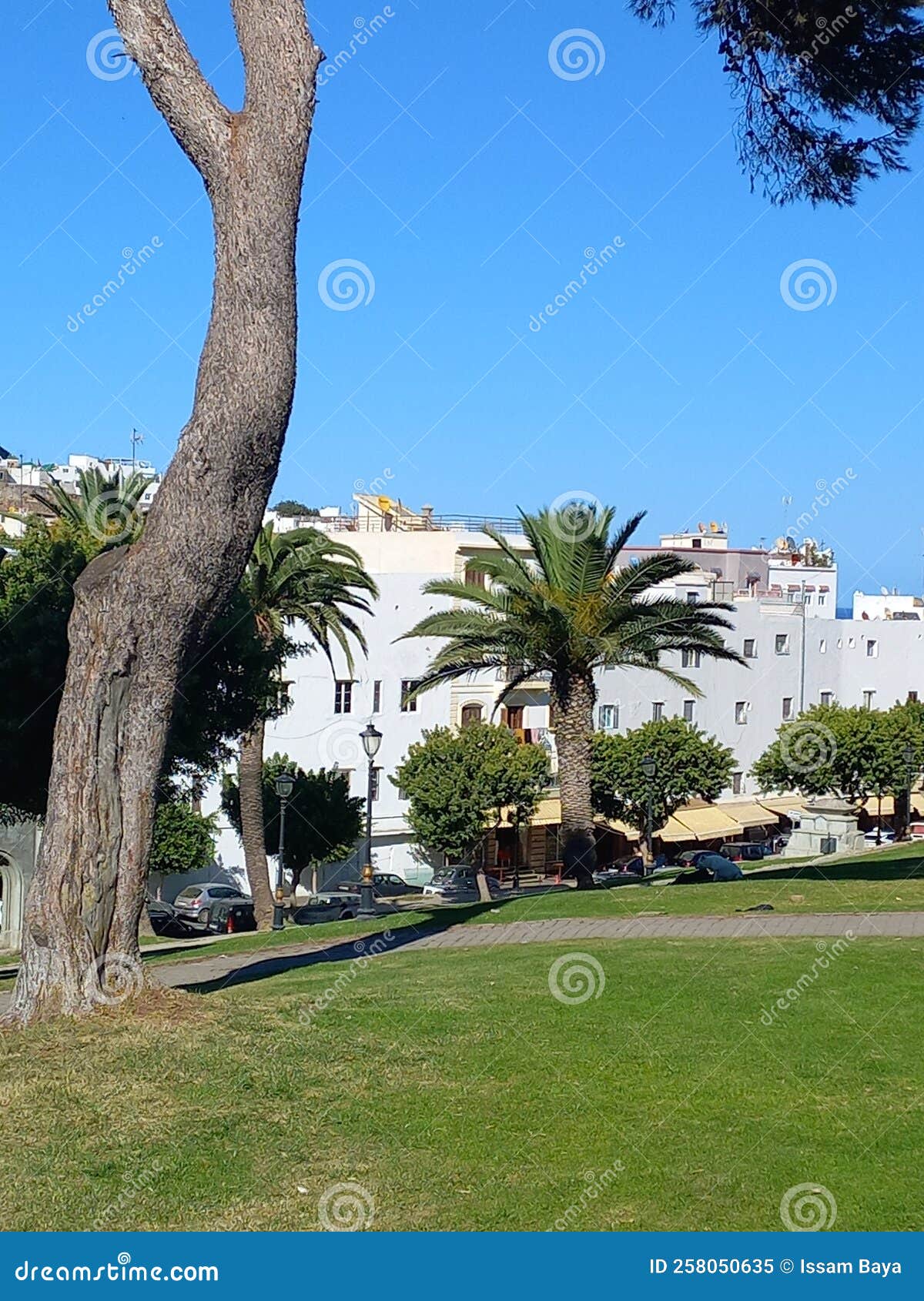 Parque Natural Verde En Tangier Morocco Imagen de archivo - Imagen de ...