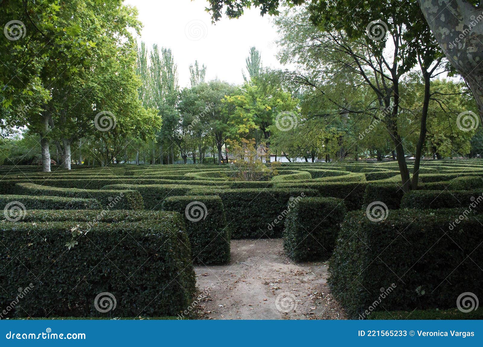 Parque Podado En Forma De Laberinto Imagen de archivo - Imagen de ...