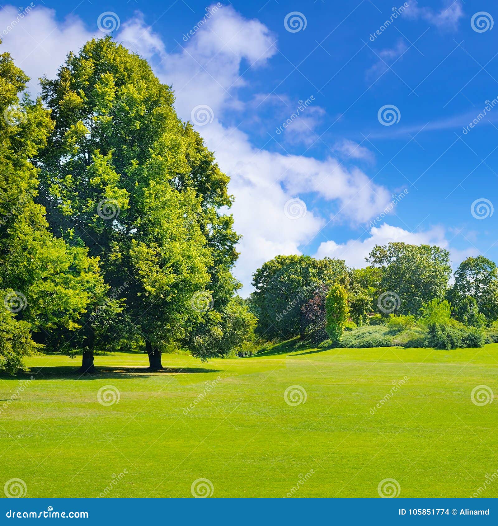 Parque, Prado Verde Y Cielo Azul Foto de archivo - Imagen de nadie ...