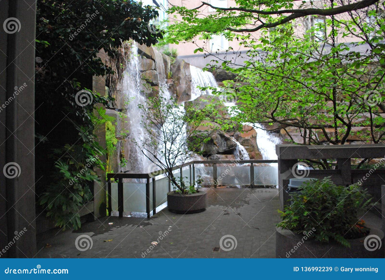 Parque Reservado De La Ciudad Imagen de archivo - Imagen de ...