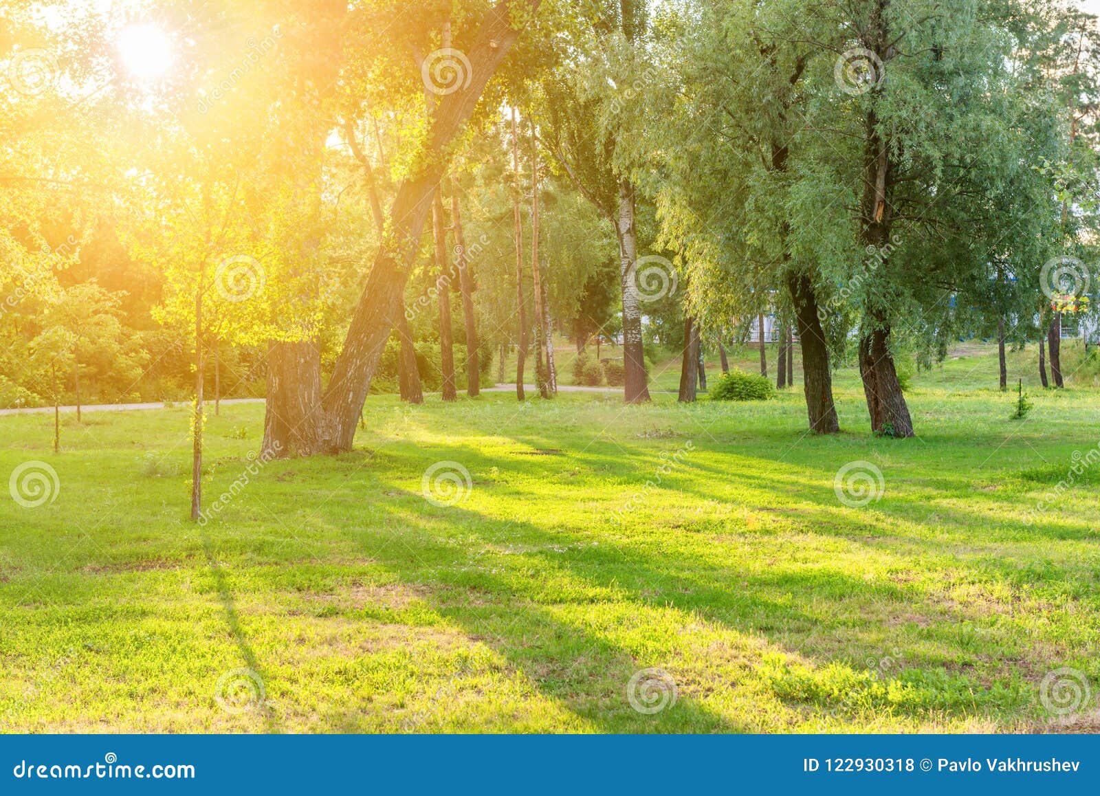 Parque Soleado Con El Haz Luminoso Foto de archivo - Imagen de asoleado ...