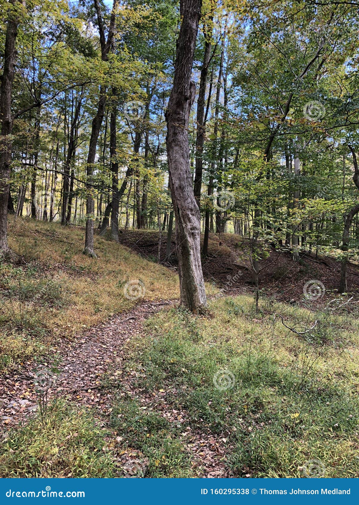 Parque Tohickon Valley foto de archivo. Imagen de condado - 160295338