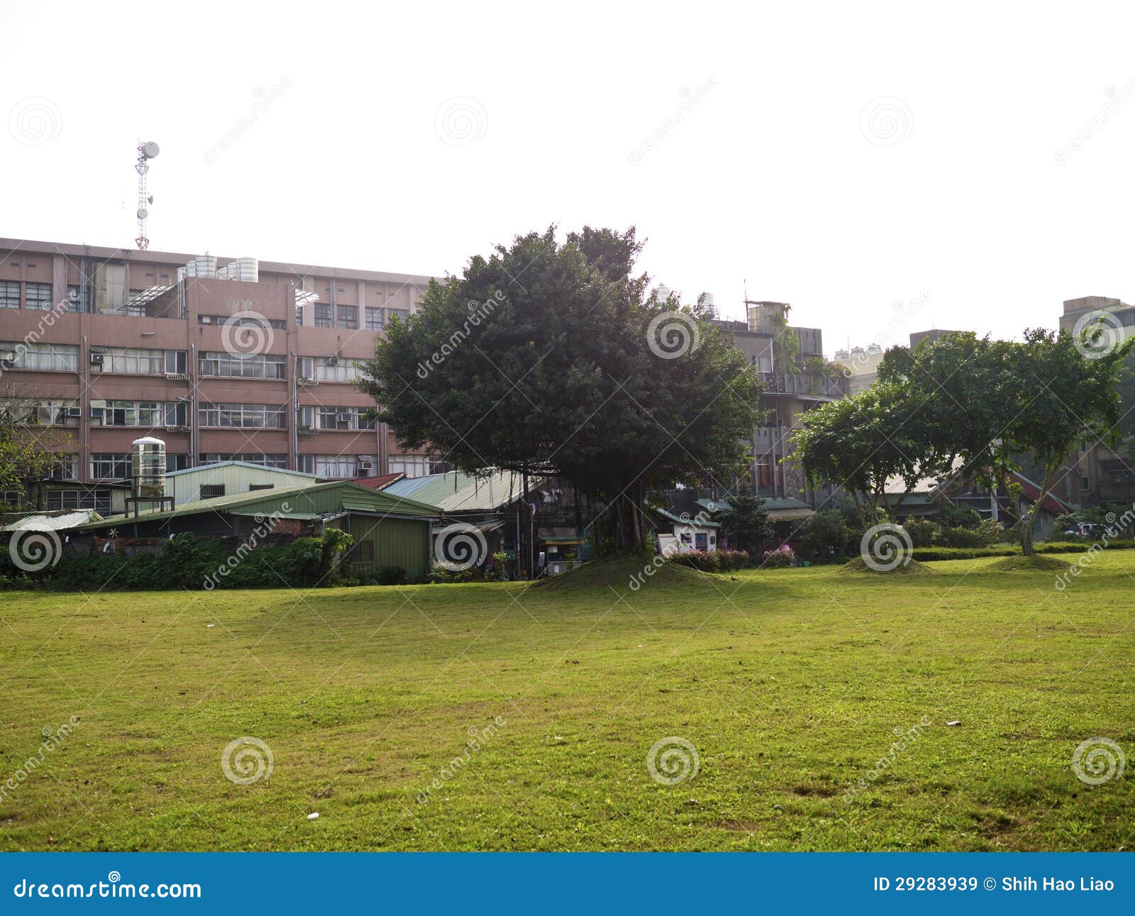 Parque verde imagem de stock. Imagem de fundo, cena, jardim - 29283939