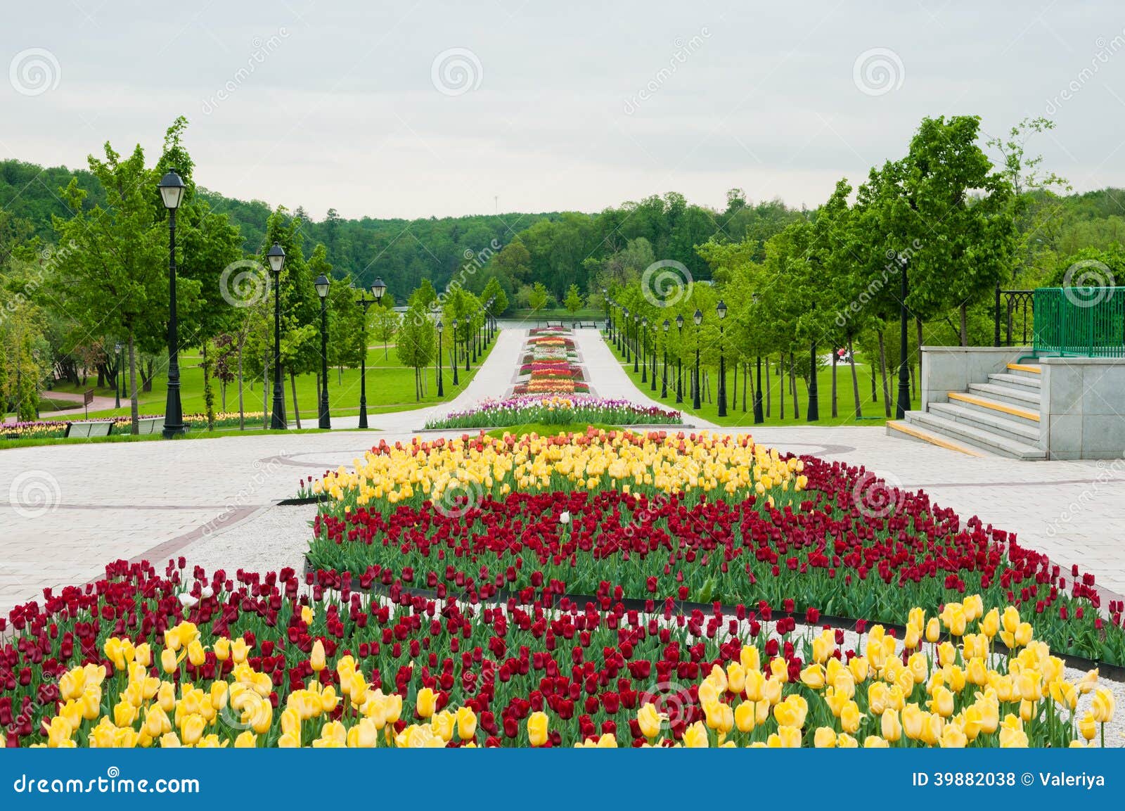 Parque Verde De La Ciudad En Día Soleado Foto de archivo - Imagen de ...