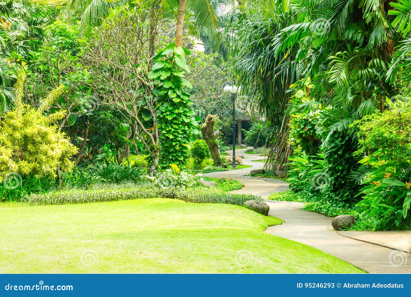 Parque Verde Hermoso Con La Trayectoria De La Bobina Imagen de archivo ...