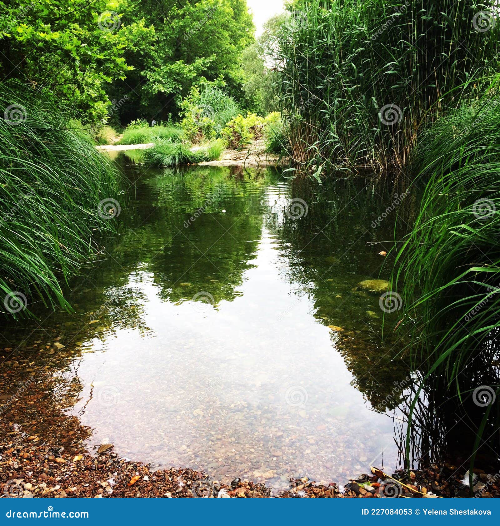 Parque Verde Lago Y Clima Lluvioso Imagen de archivo - Imagen de flor ...