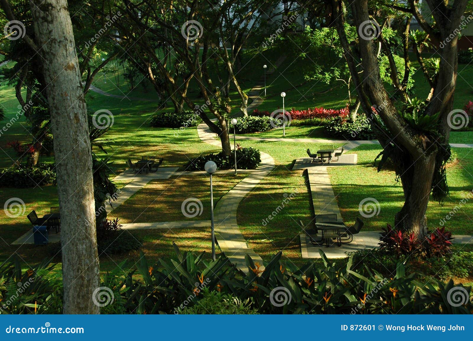 Parques imagen de archivo. Imagen de plantas, verde, cubo - 872601