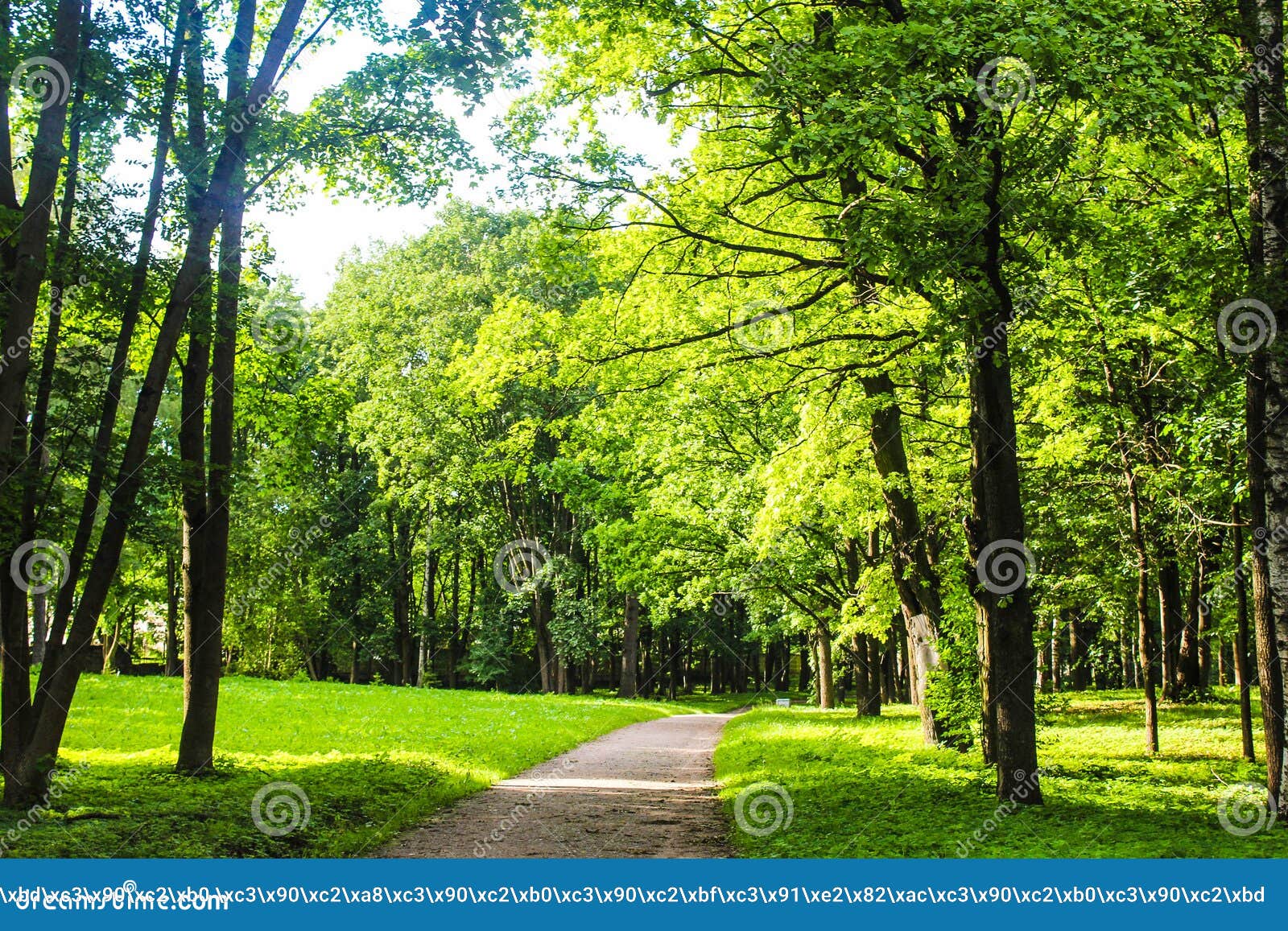 Parques verdes foto de archivo. Imagen de carril, tronco - 75019534