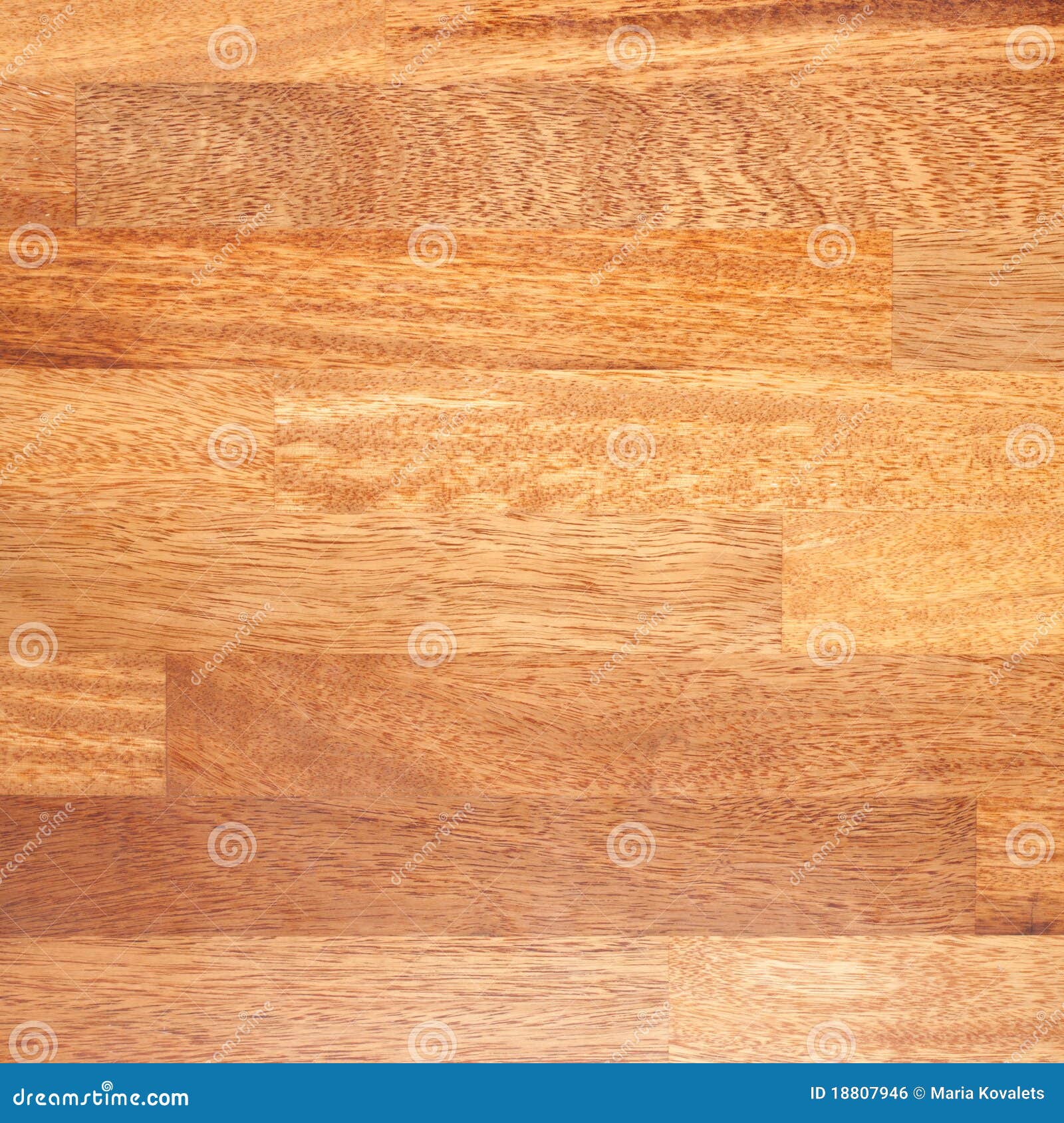 Parquet stock photo. Image of detail, light, panel, interior - 18807946
