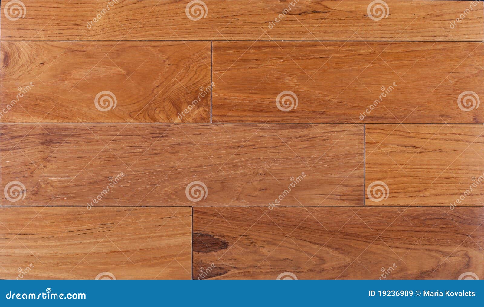 Parquet stock image. Image of board, parquetry, detail - 19236909