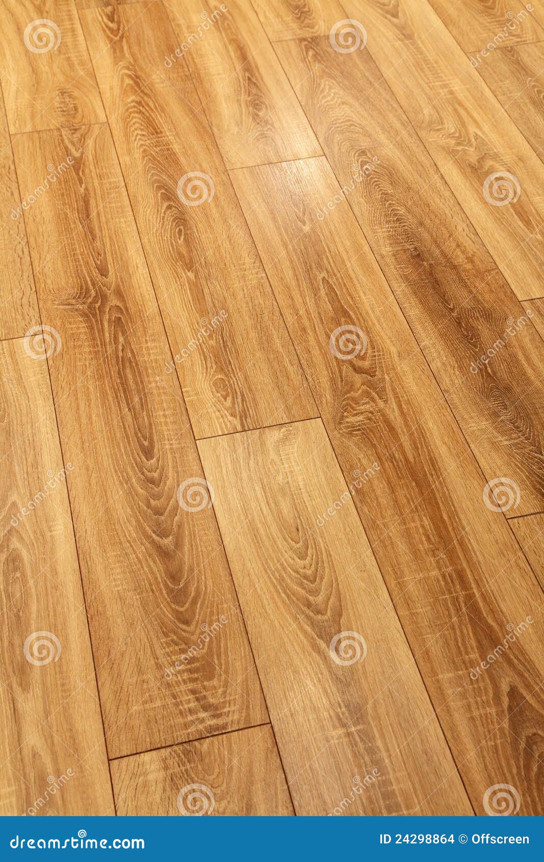 Parquet floor stock photo. Image of panel, parquet, laminate - 24298864