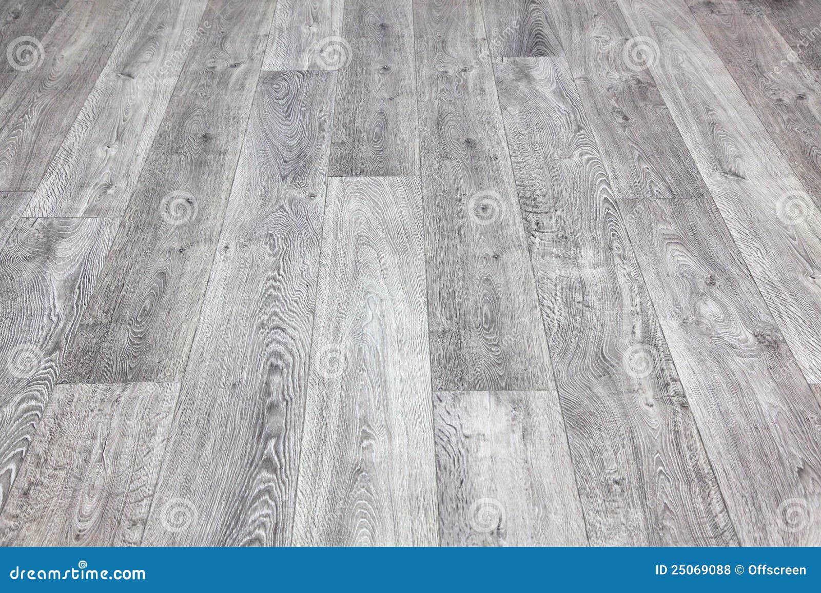 Parquet gray color stock photo. Image of surface, floor - 25069088