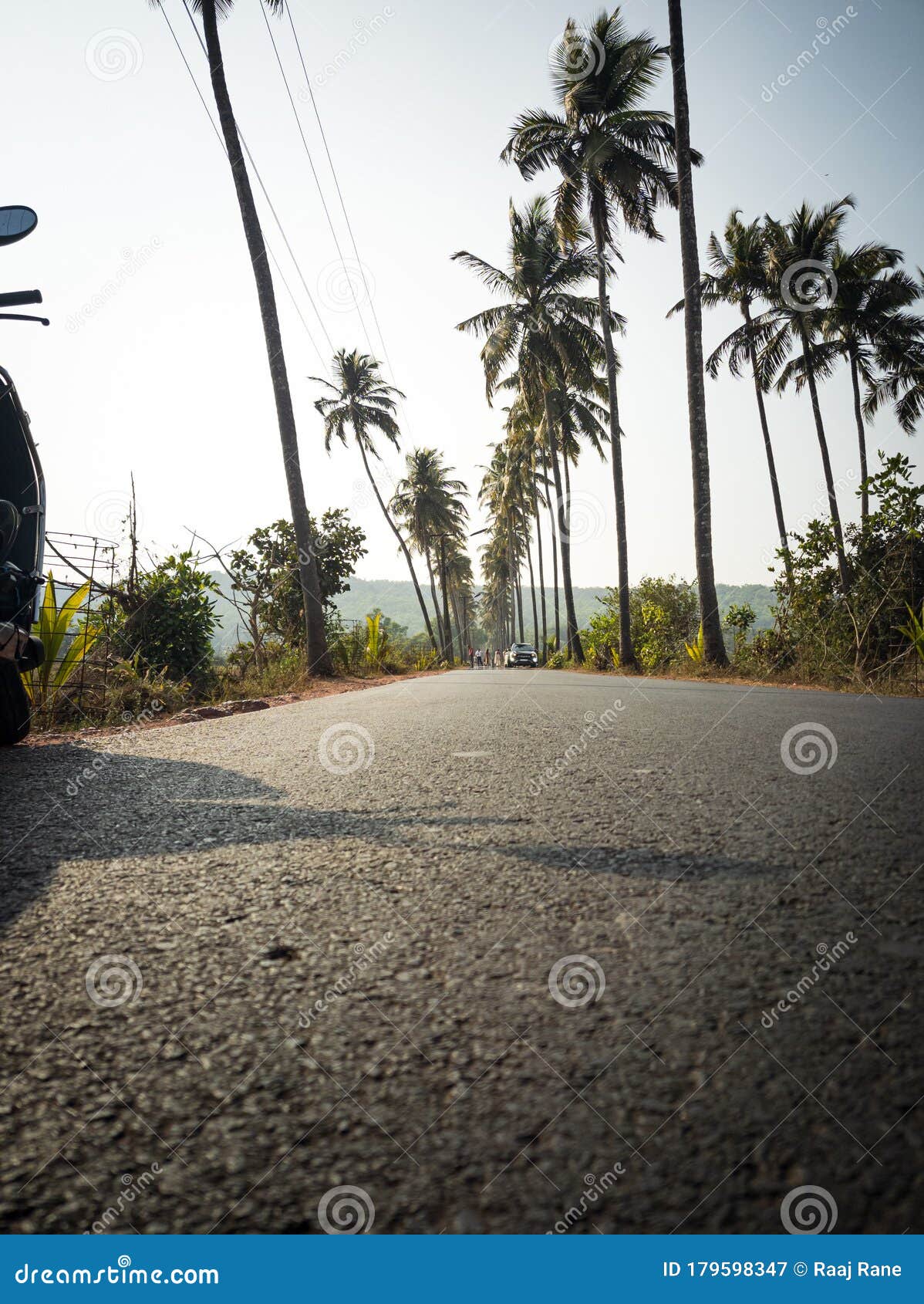 Parra - the Coconut Road stock image. Image of infrastructure - 179598347