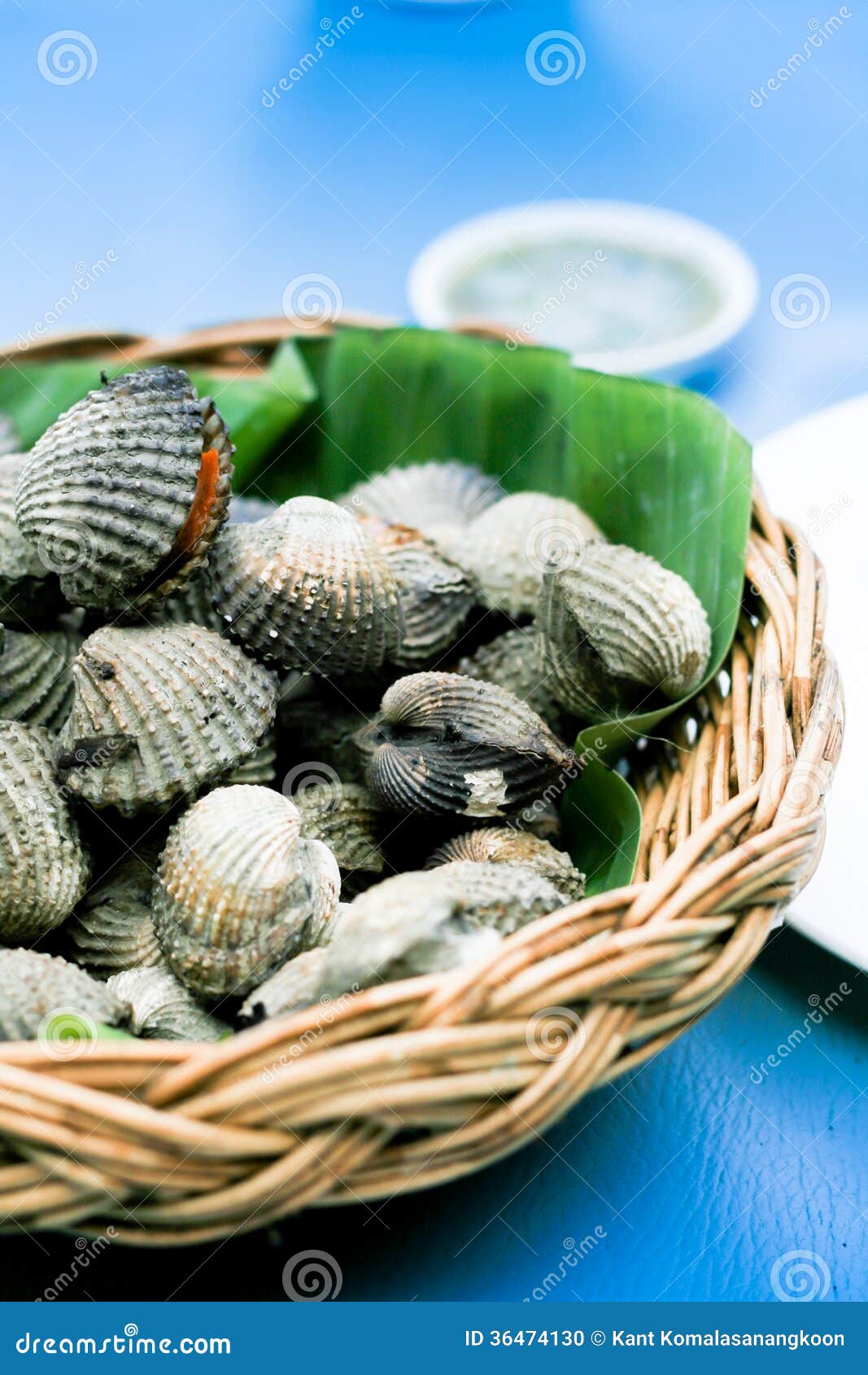 Parrilla De La Concha De Peregrino Foto de archivo - Imagen de parrilla ...
