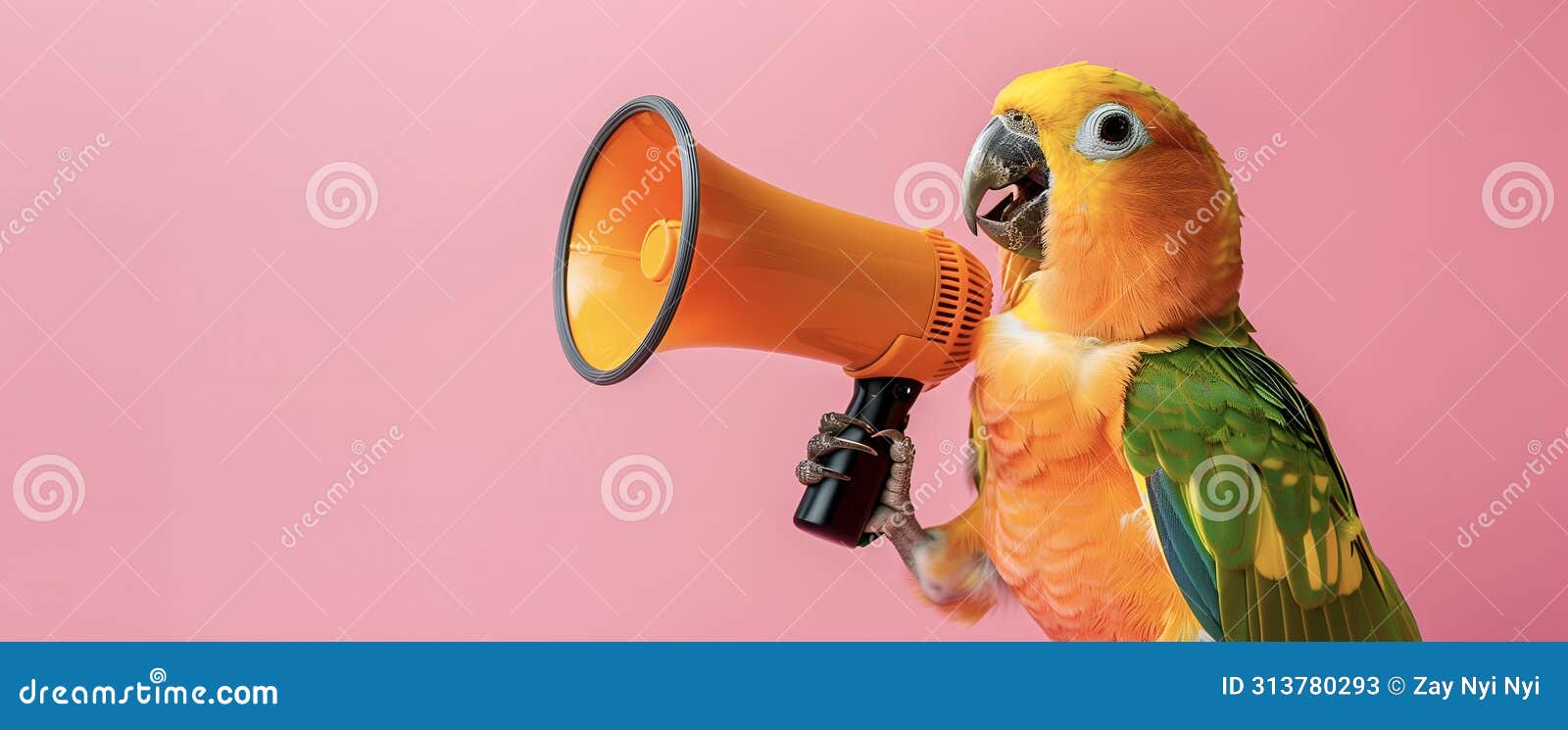 Parrot Bird Announcing Using Megaphone. Notifying, Warning ...