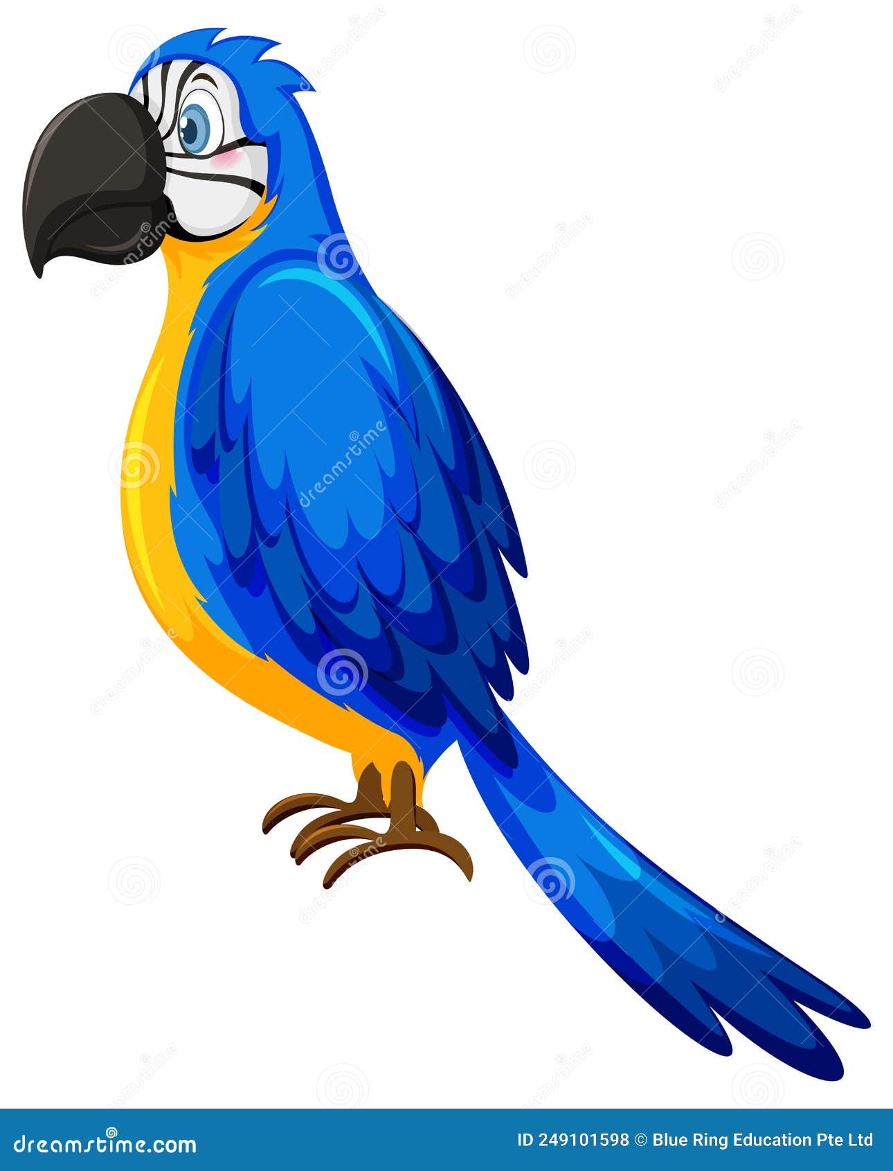 Parrot Bird in Cartoon Style Stock Vector - Illustration of intelligent ...