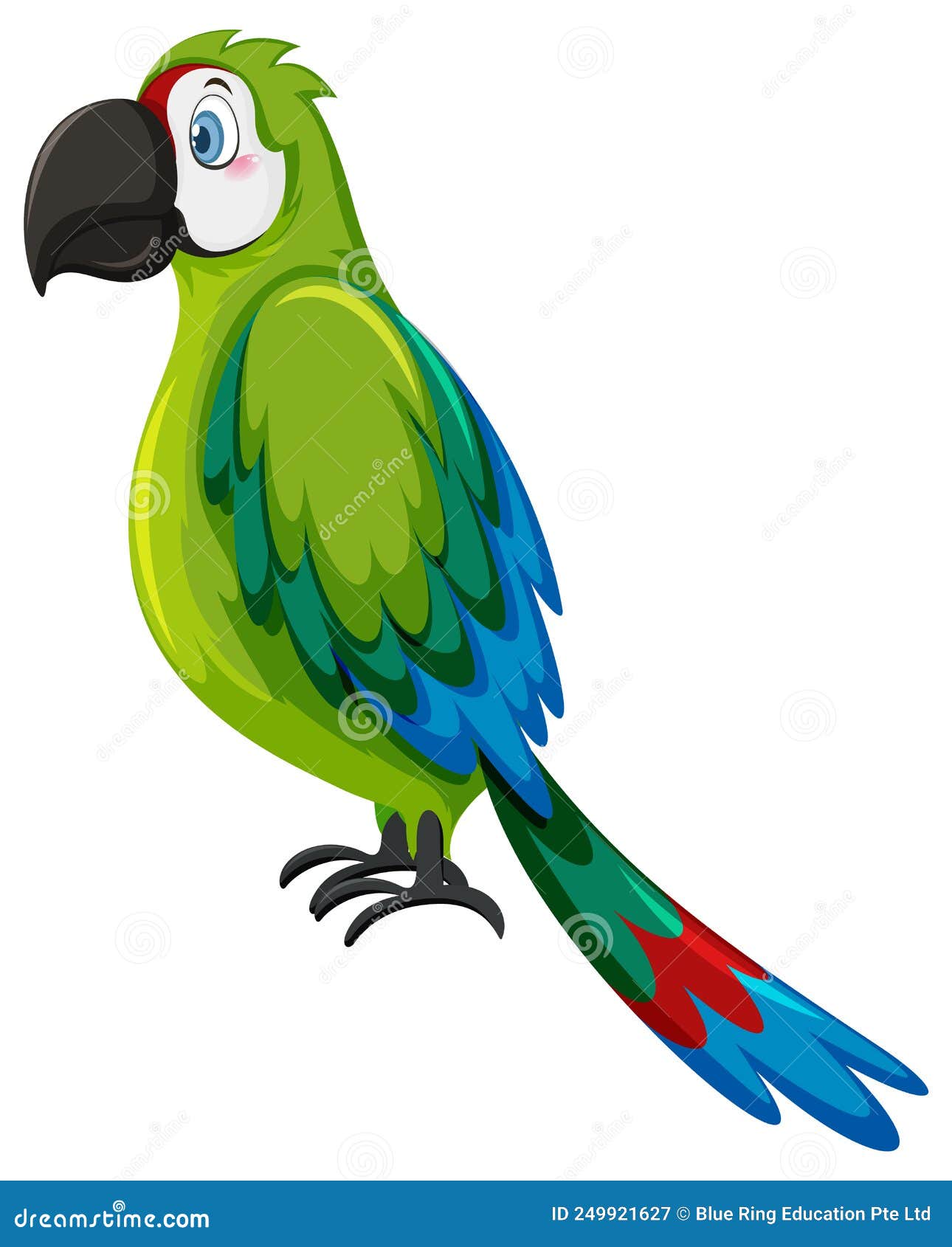 Parrot Bird in Cartoon Style Stock Vector - Illustration of graphic ...