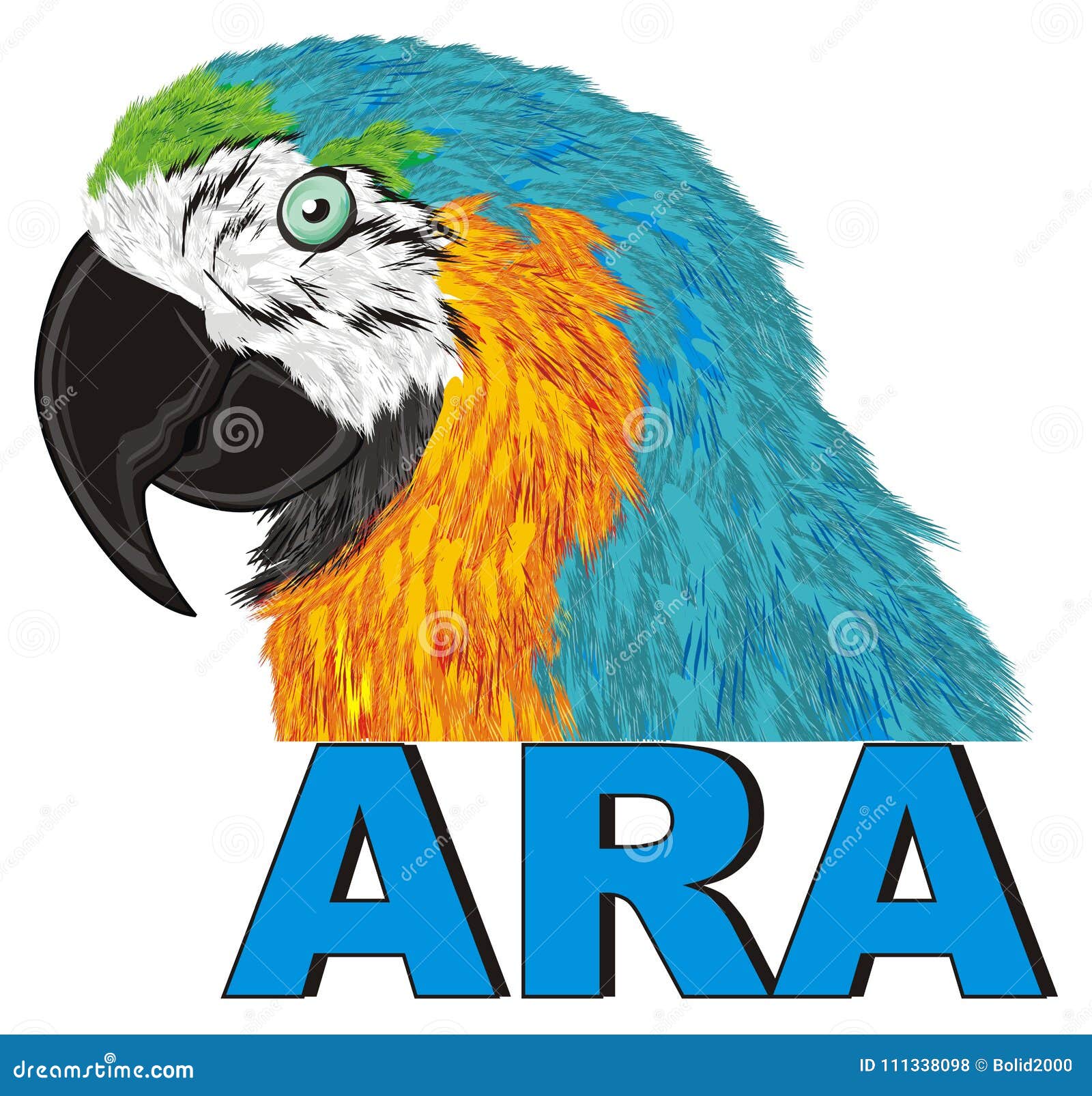 Parrot and blue letters stock illustration. Illustration of isolated ...