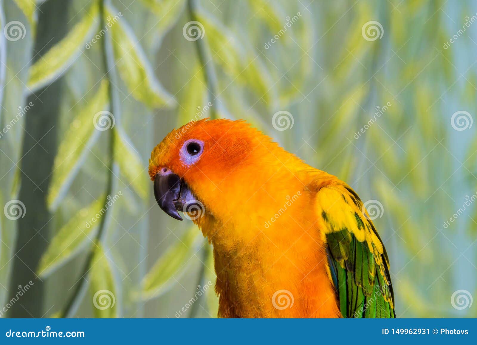 The Parrot is Brightly Yellow Colored Sits Stock Image - Image of green ...