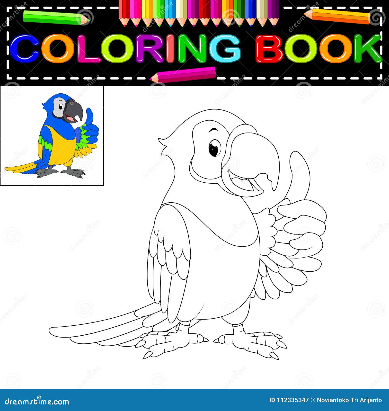 Parrot coloring book stock vector. Illustration of flying - 112335347