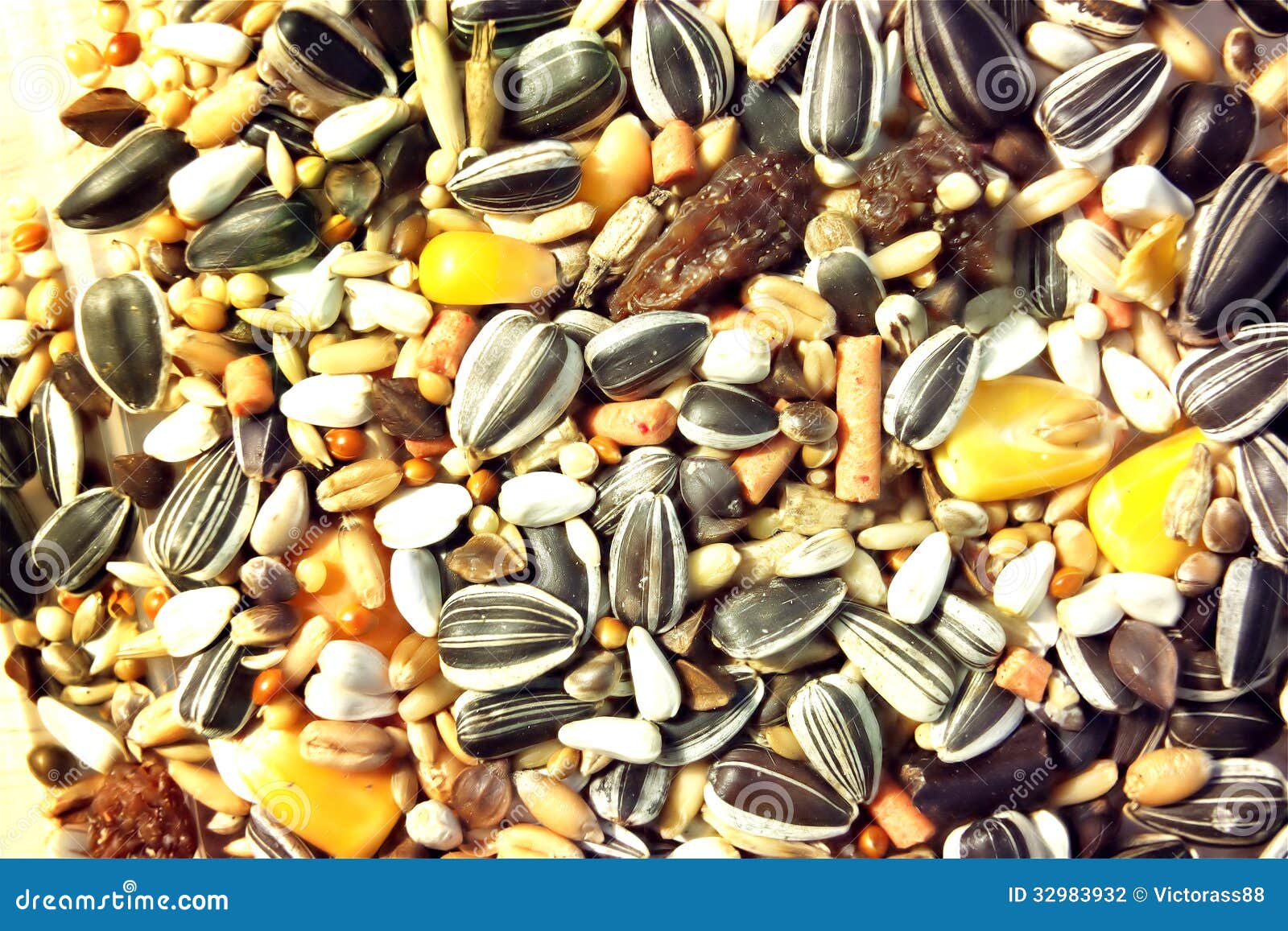 Parrot food mix stock photo. Image of complete, fruit - 32983932