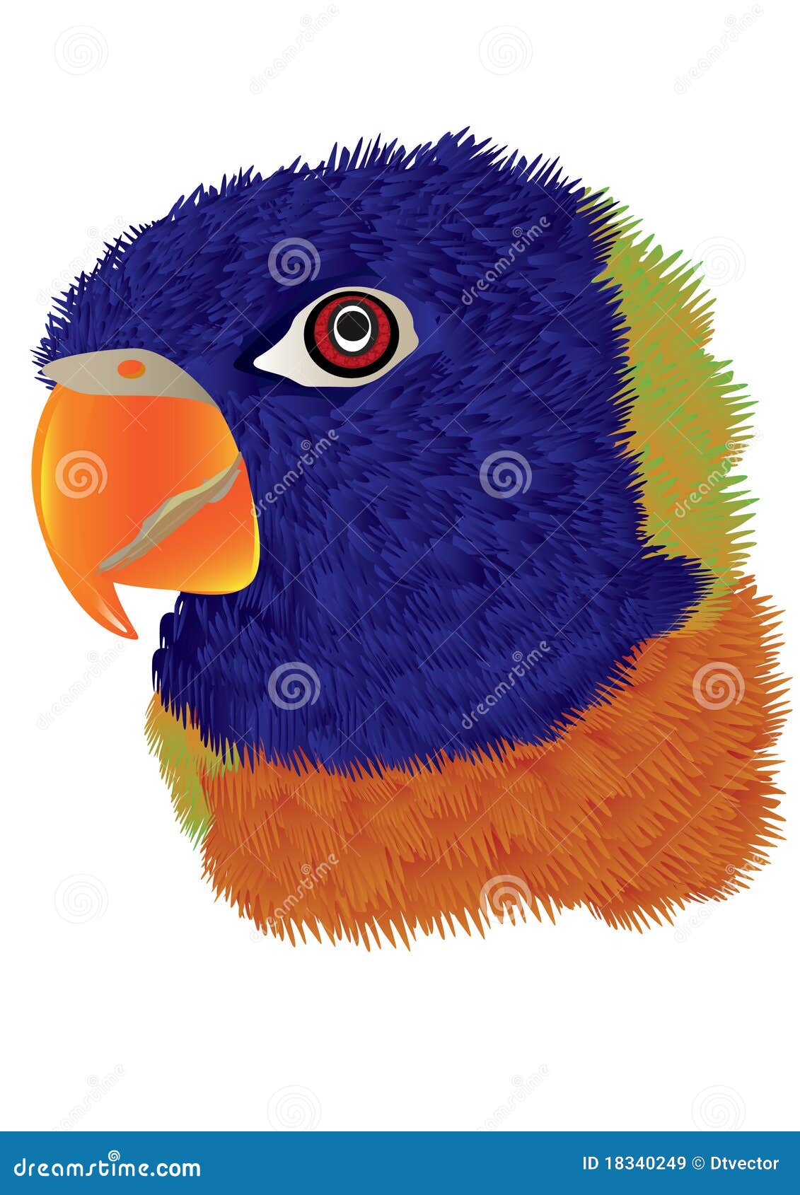Parrot Head_eps stock vector. Illustration of decorative - 18340249