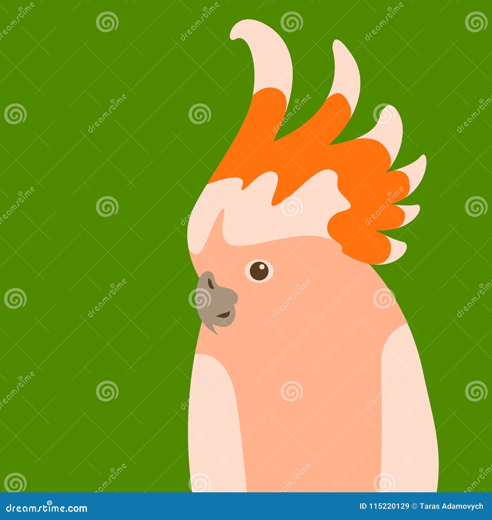 Parrot Head Vector Illustration Flat Style Profile Side Stock Vector ...