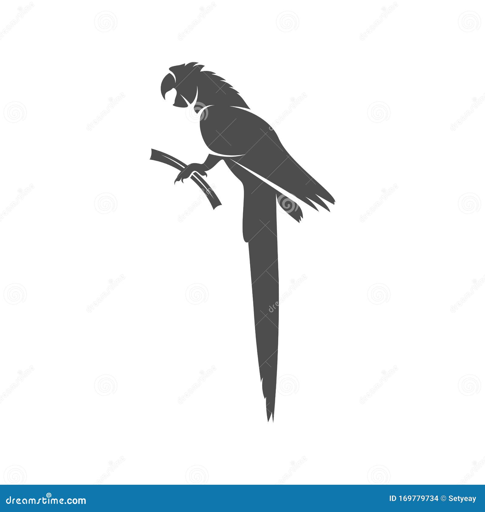 Parrot Logo Icon Design Vector Illustration, Parrot Logo Template Stock ...