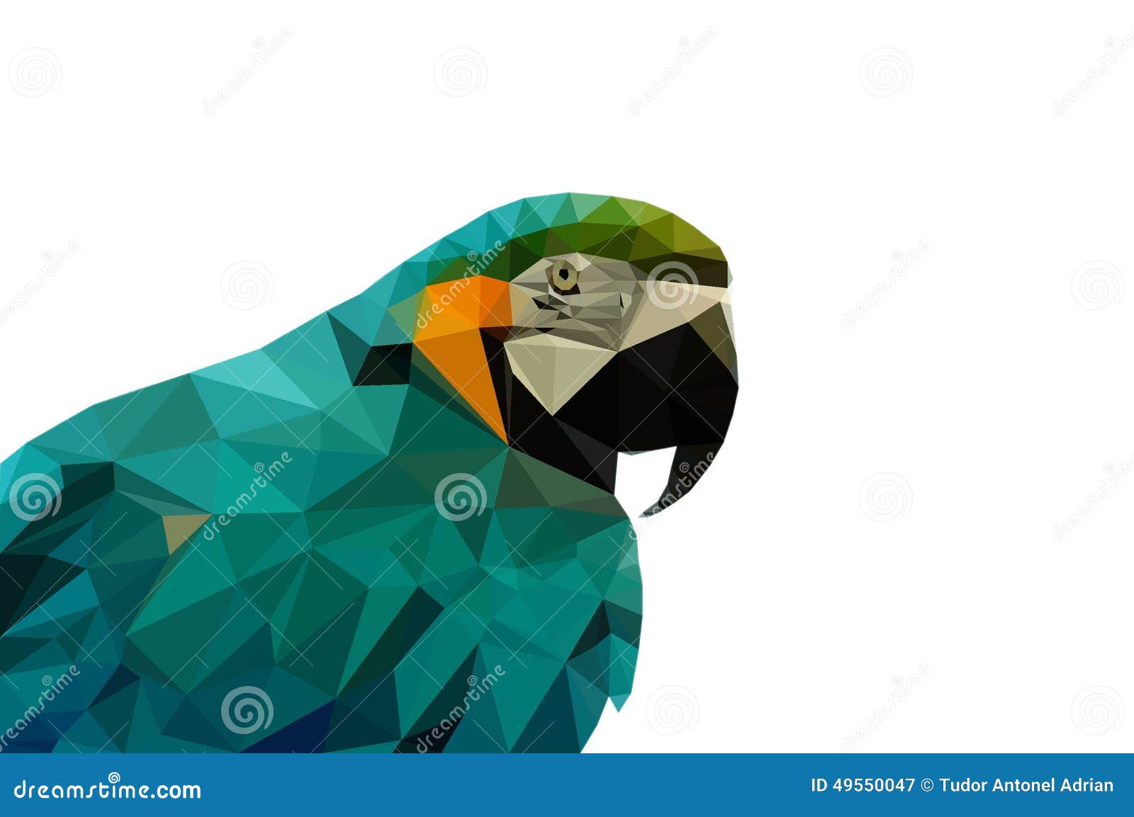 Parrot low poly stock illustration. Illustration of nature - 49550047