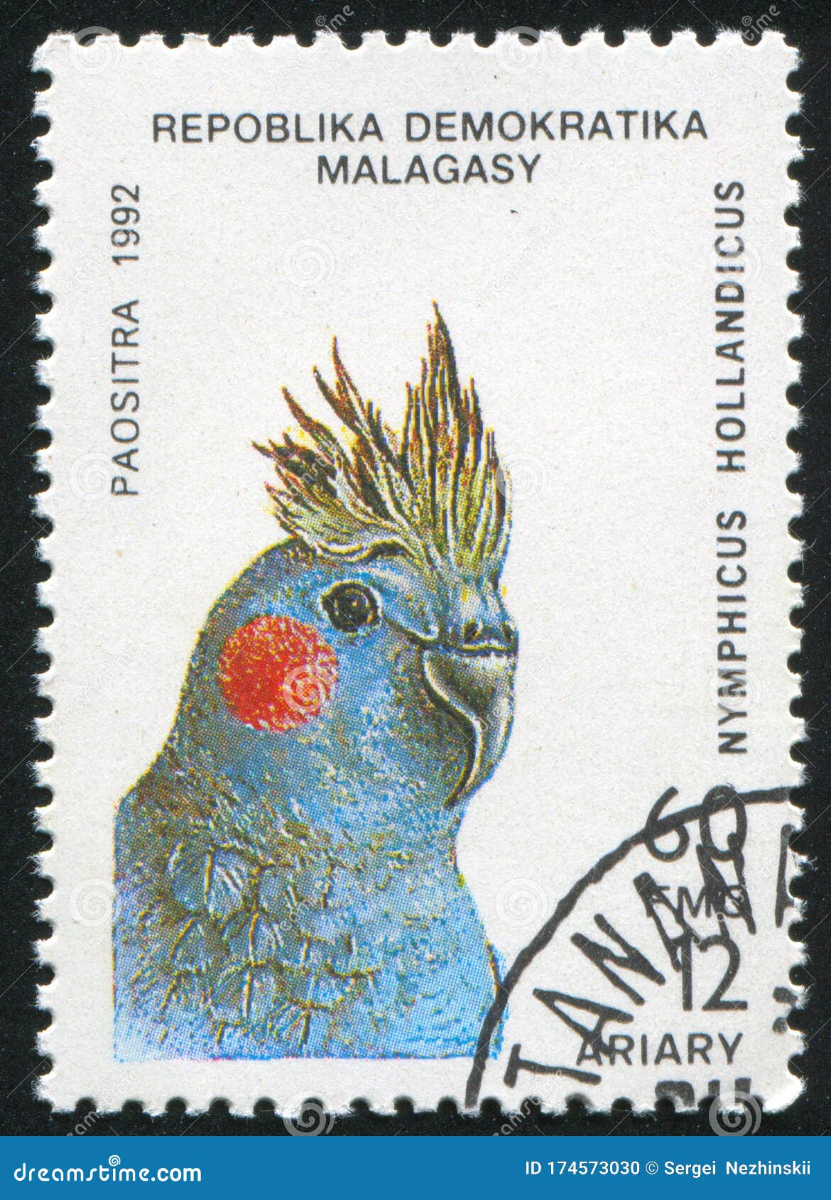 Parrot editorial image. Image of beautiful, beak, letter - 174573030