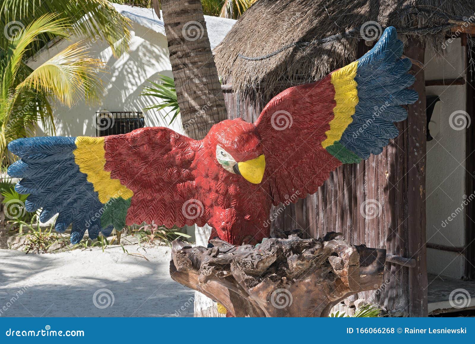 Parrot Model on a Tree Trunk on the Beach of Tulum Mexico Stock Photo ...