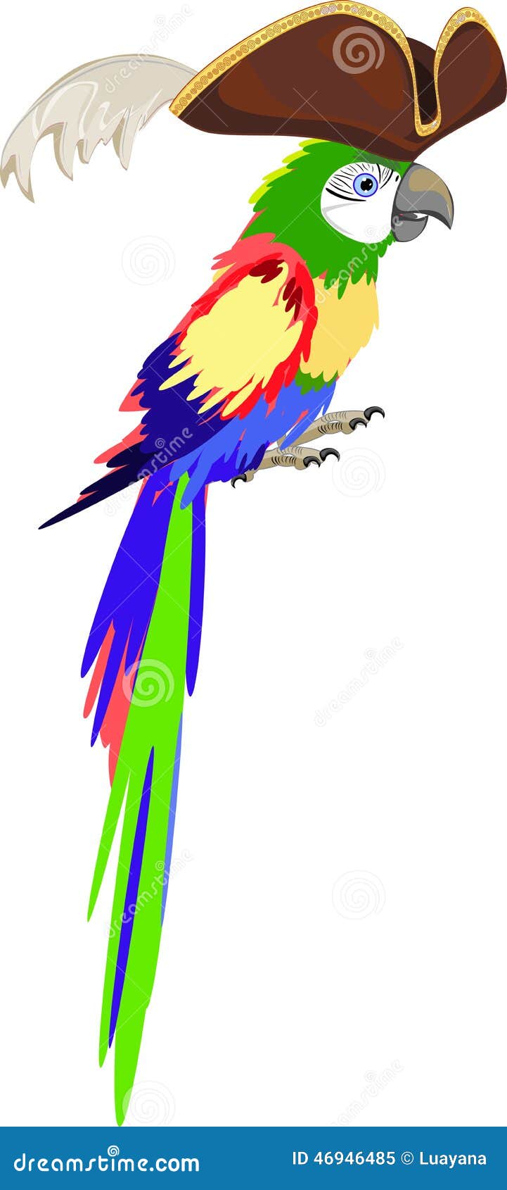 Parrot in pirate hat stock vector. Illustration of macaw - 46946485