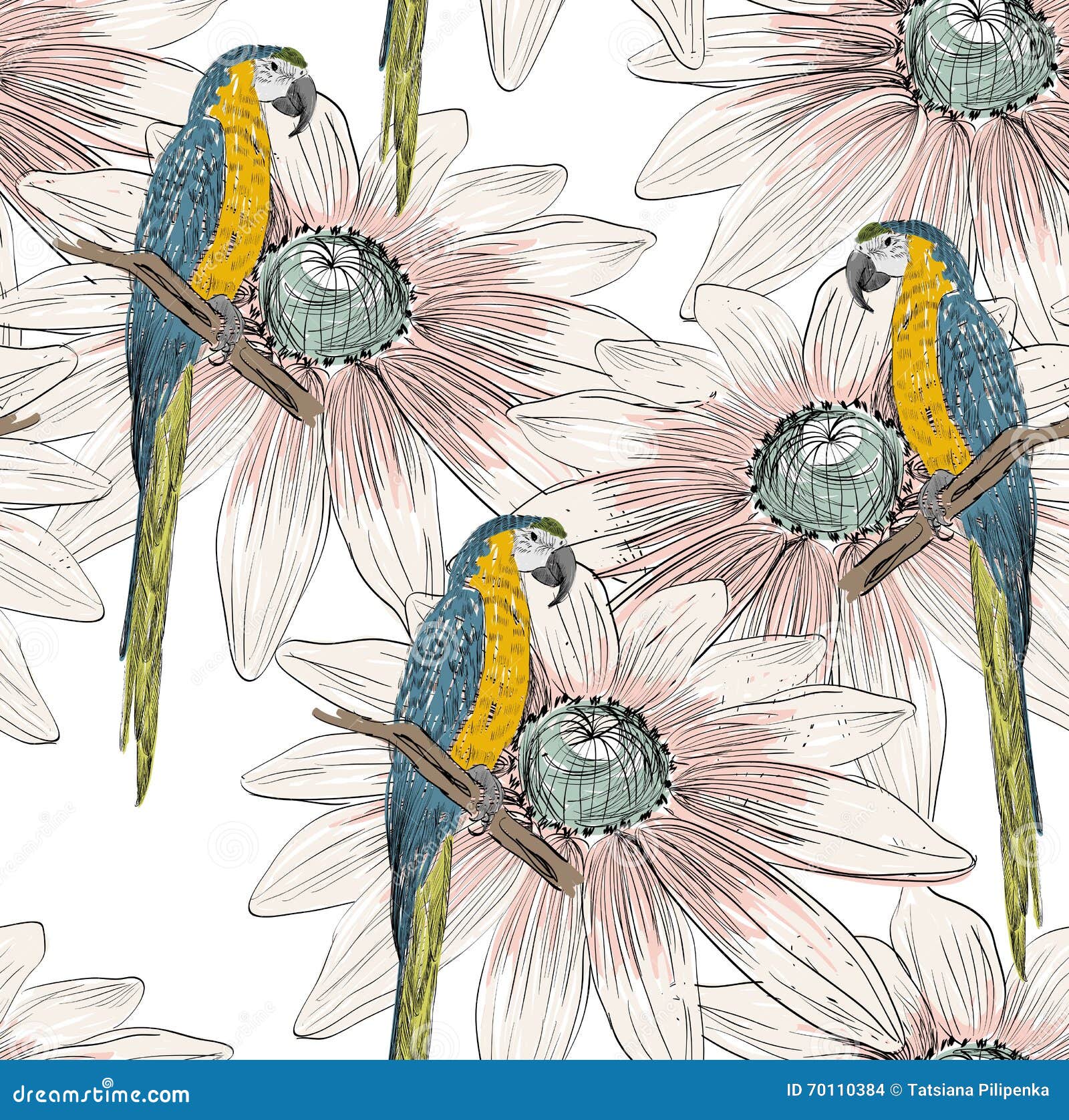 Parrot. Seamless pattern stock vector. Illustration of camomile - 70110384