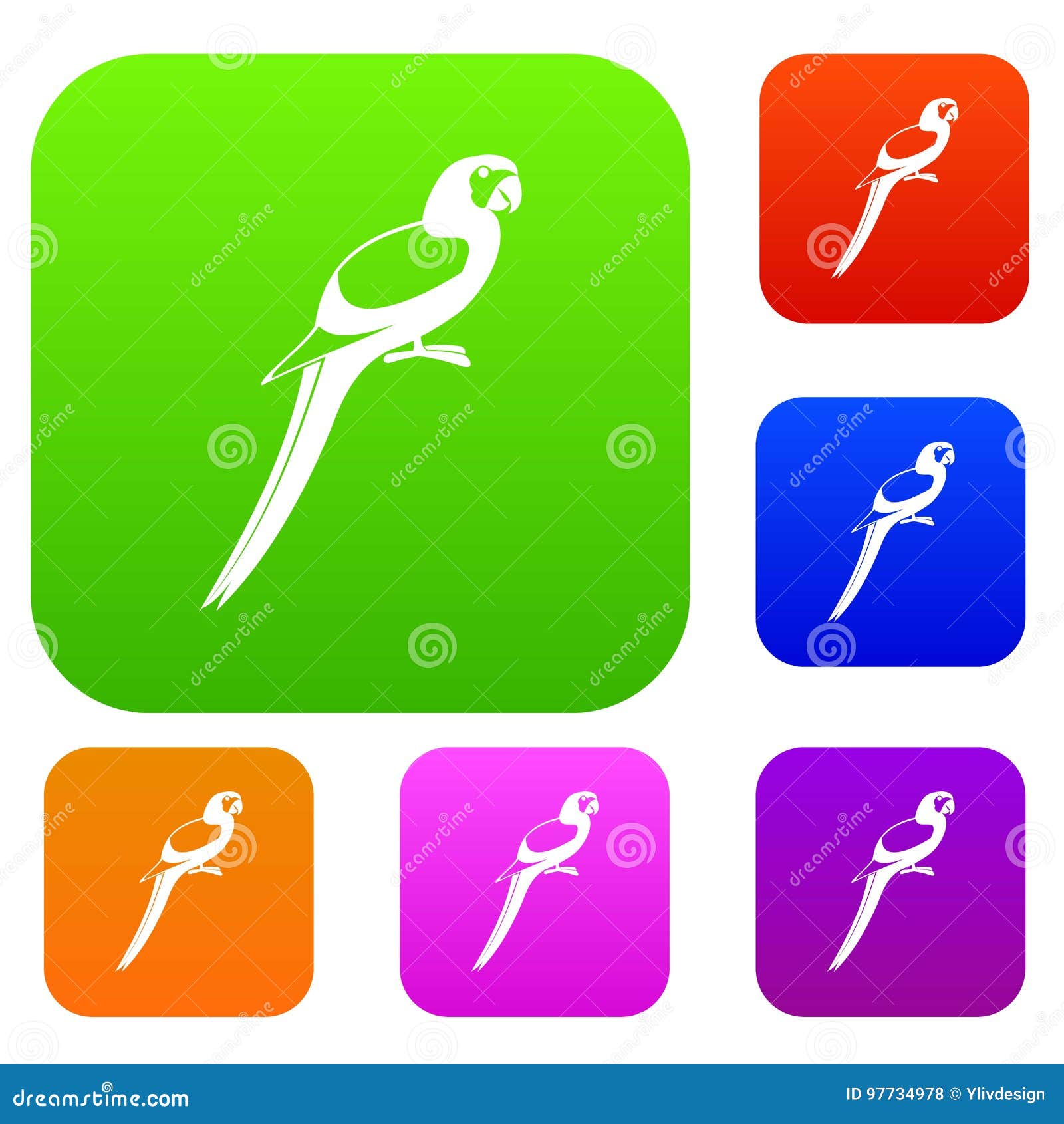 Parrot set collection stock vector. Illustration of flying - 97734978