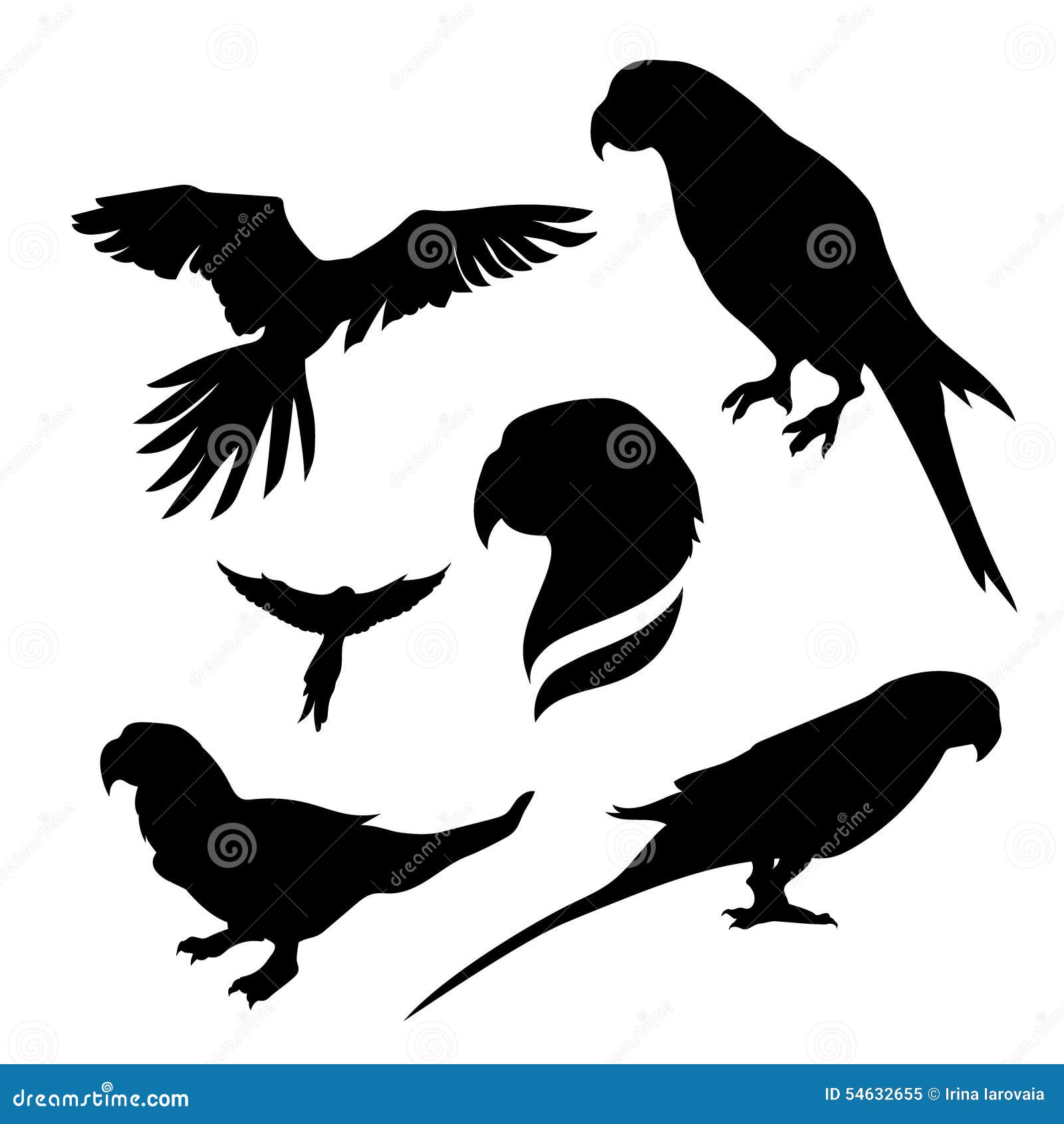 Parrot set vector stock vector. Illustration of wings - 54632655