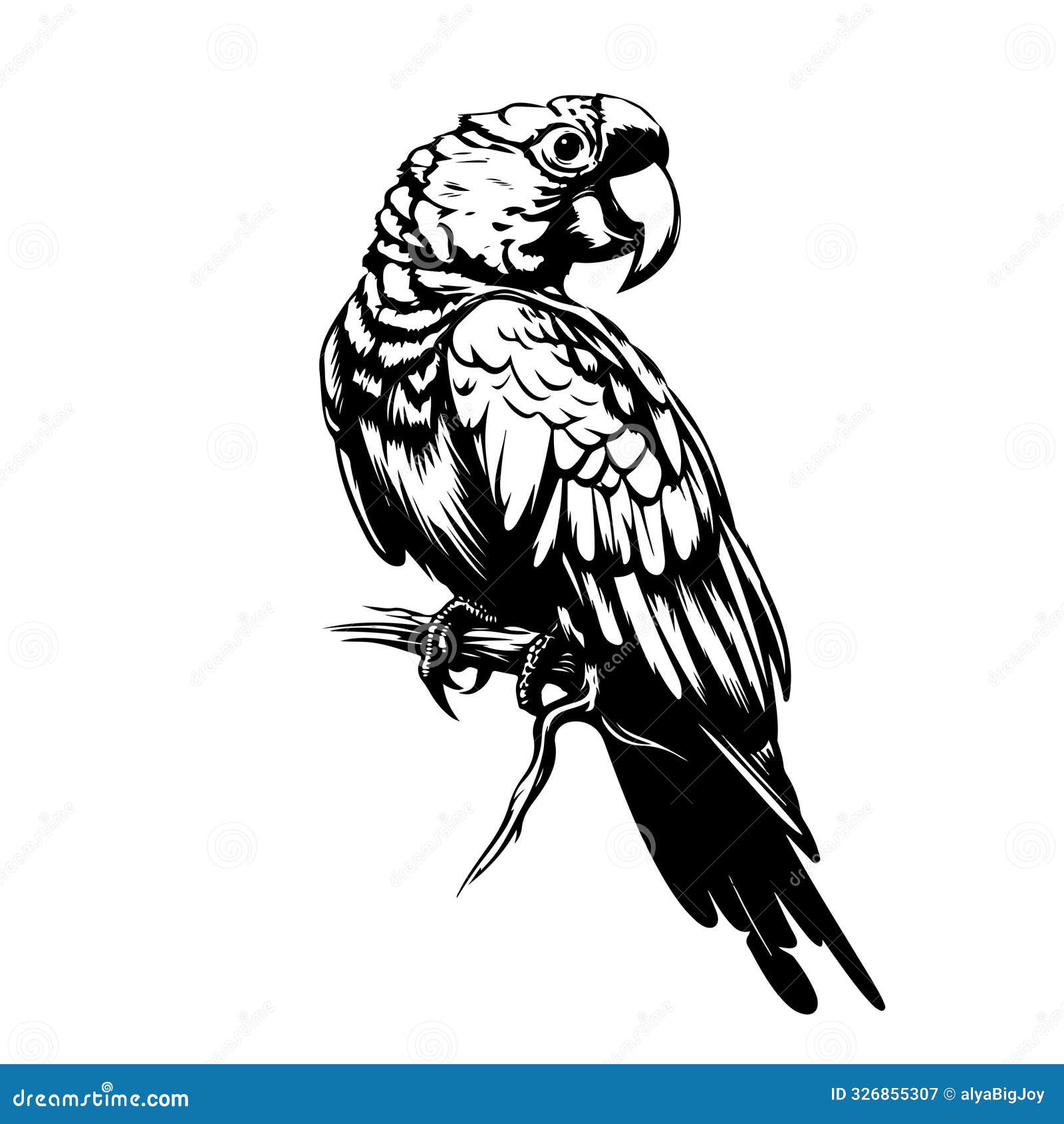Parrot sketch illustration stock illustration. Illustration of artwork ...