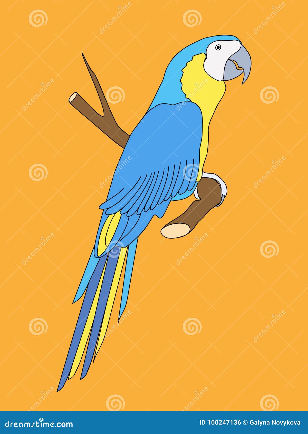 Parrot on the tree stock vector. Illustration of bird - 100247136