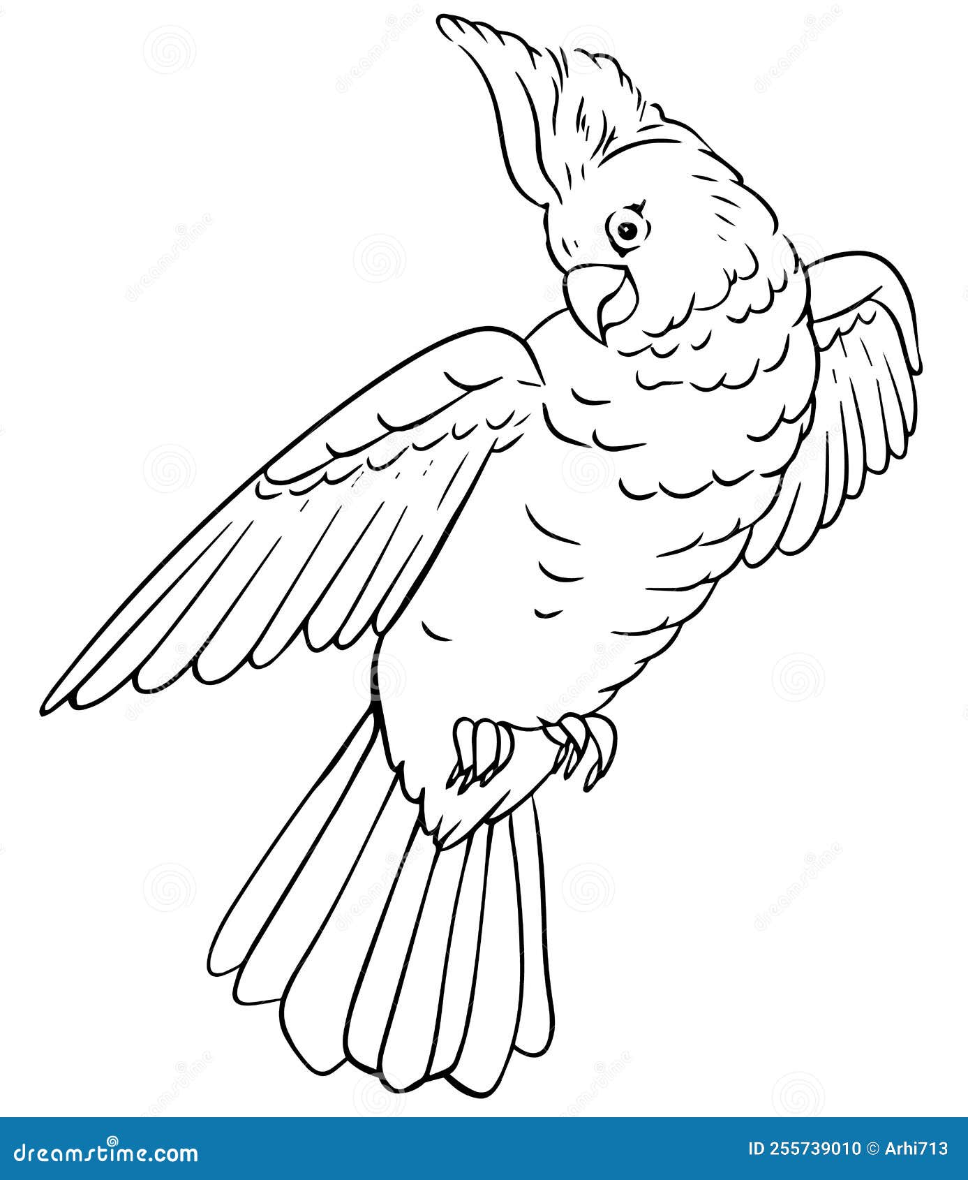 Parrot Vector Drawing for Children`s and Adults` Illustrations. Stock ...