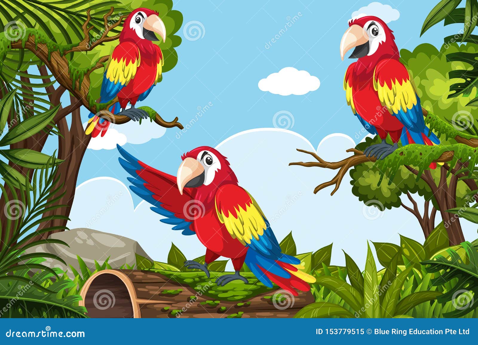 Parrots in jungle scene stock illustration. Illustration of clouds ...