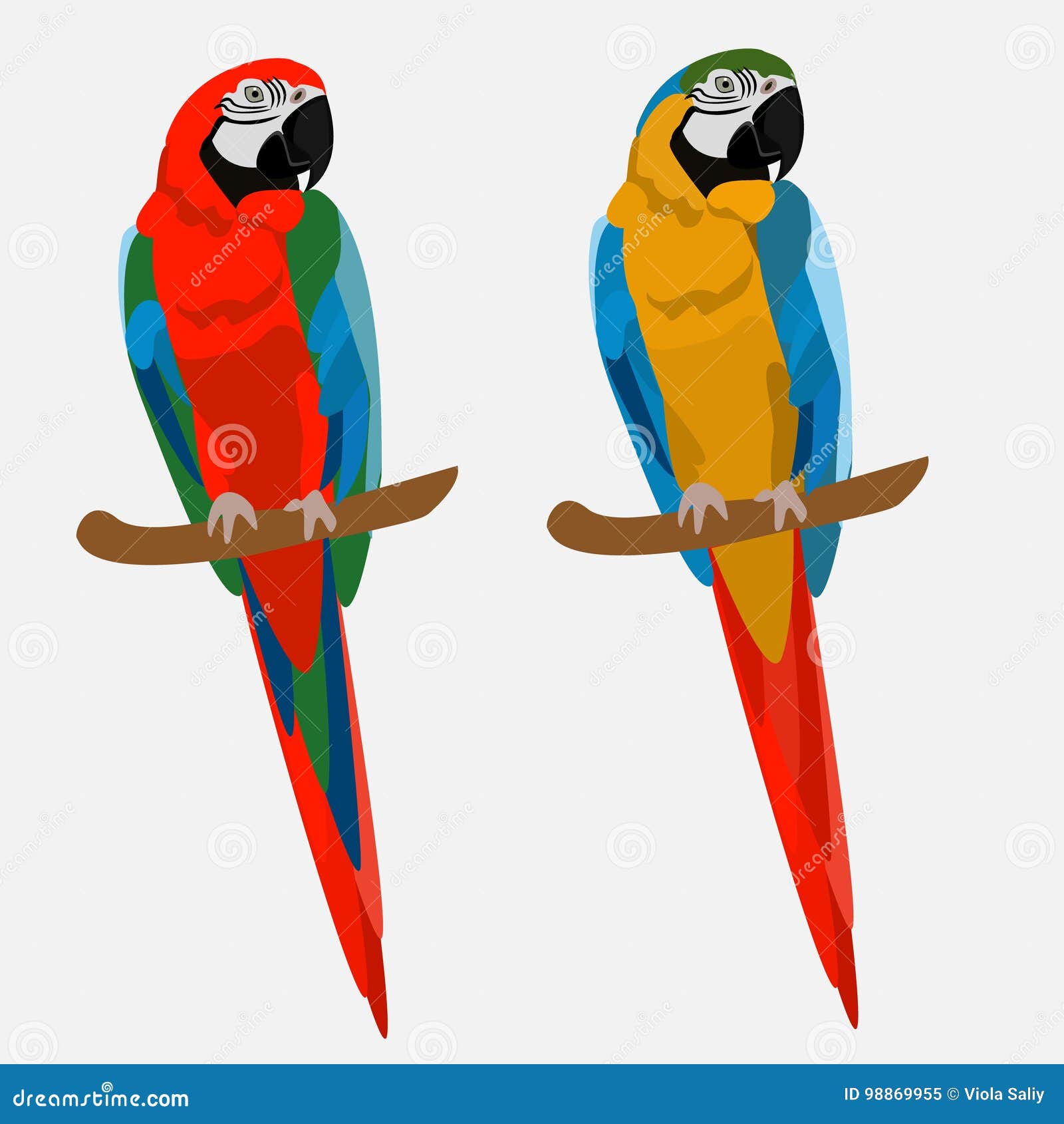 Scarlet Macaws Icon Circle Cartoon Vector | CartoonDealer.com #108600195