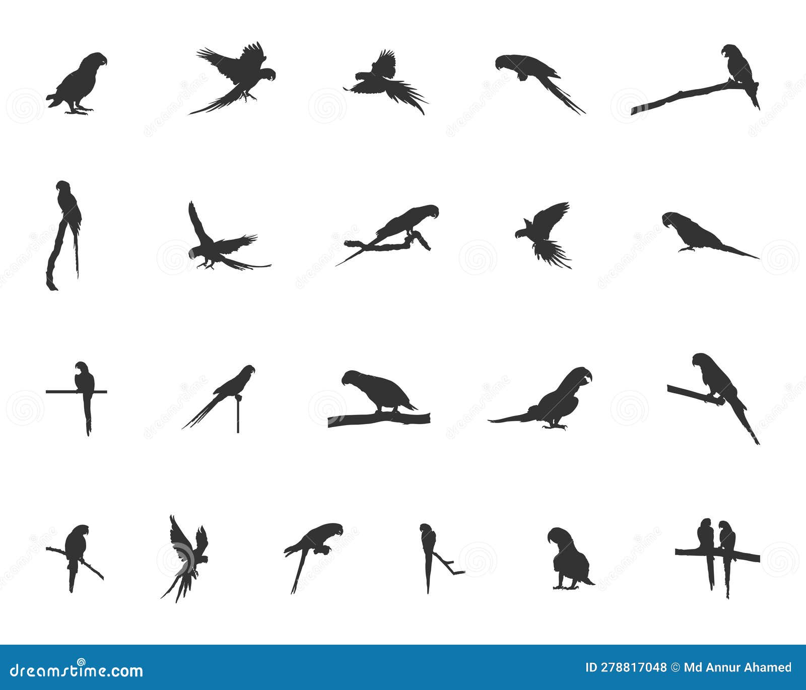 Parrots Silhouette, Parrot Vector, Birds Silhouette, Parrot SVG, Parrot ...