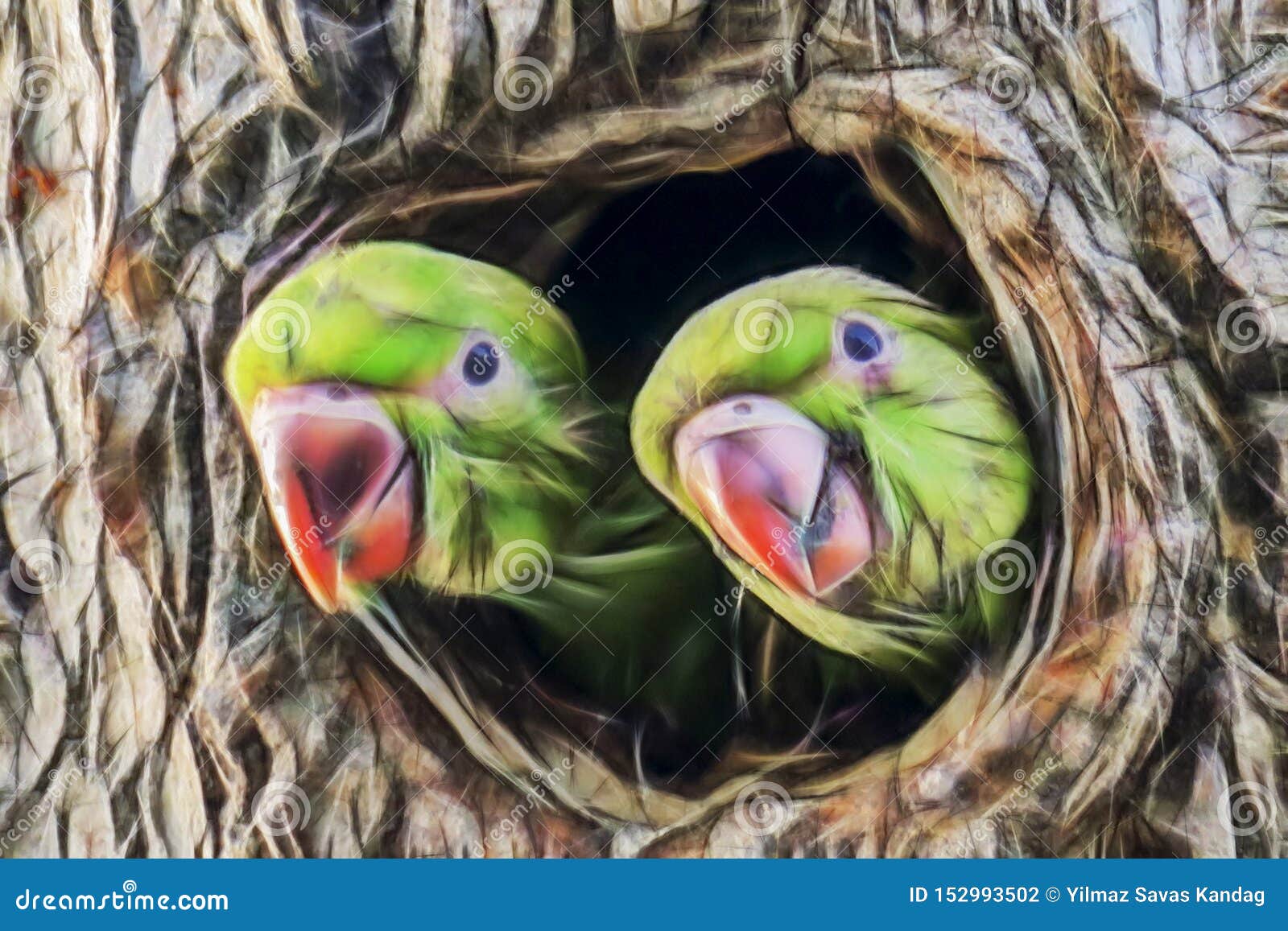 Parrots in Tree Hole in Nature. Stock Photo - Image of exotic, garden ...