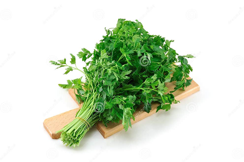 Parsley stock photo. Image of curly, bundle, fresh, cook - 17863782