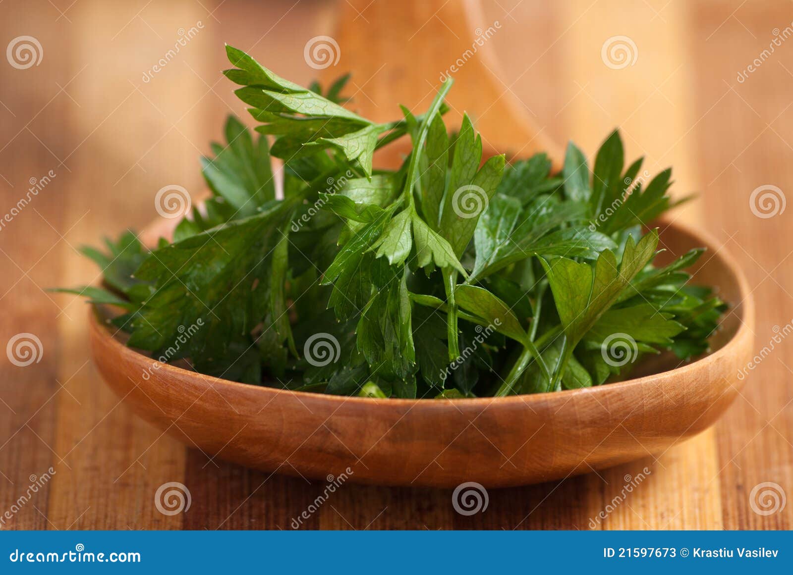 Parsley stock image. Image of botany, fennel, nature - 21597673