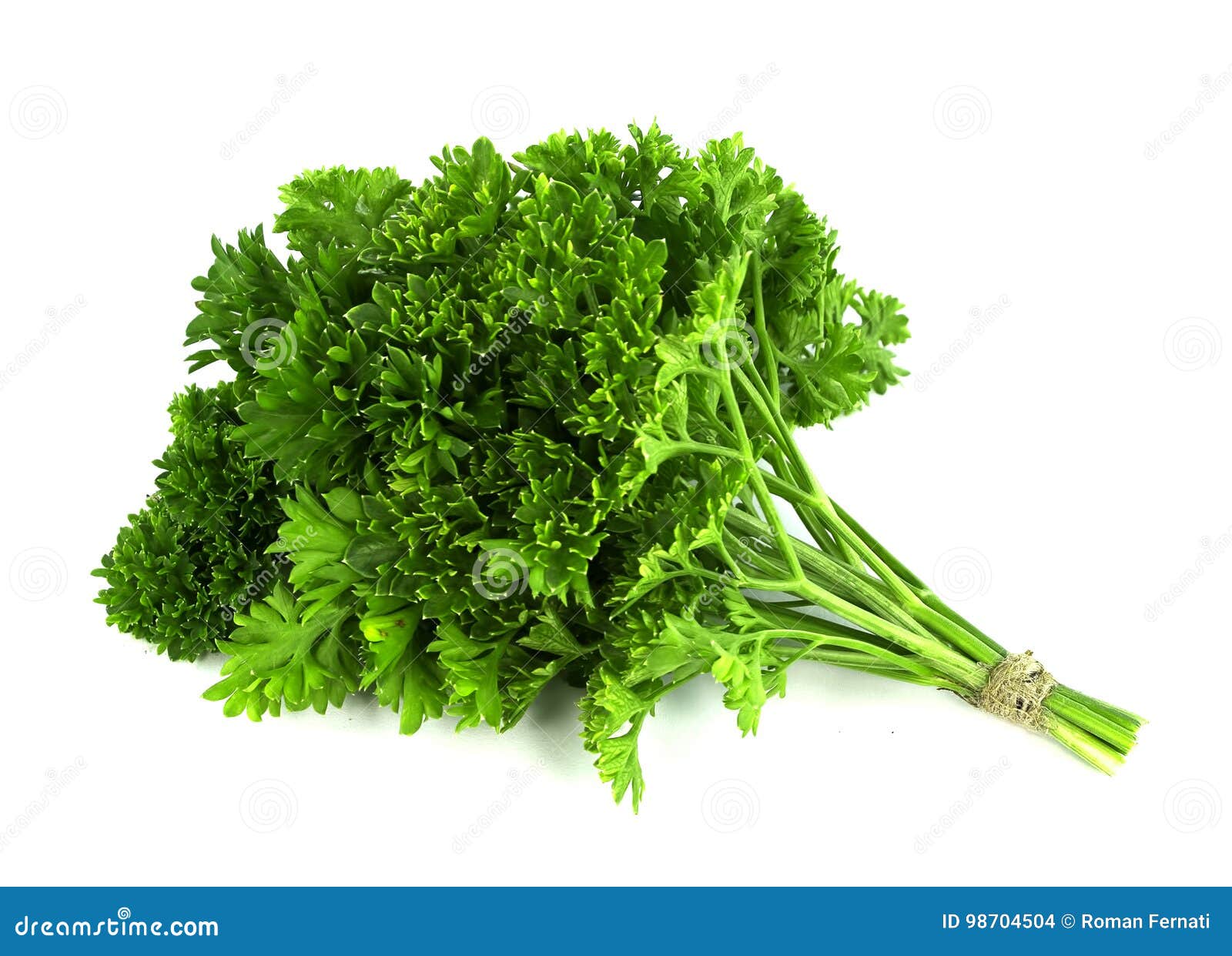 Parsley Bunch on White Background Stock Photo - Image of background ...