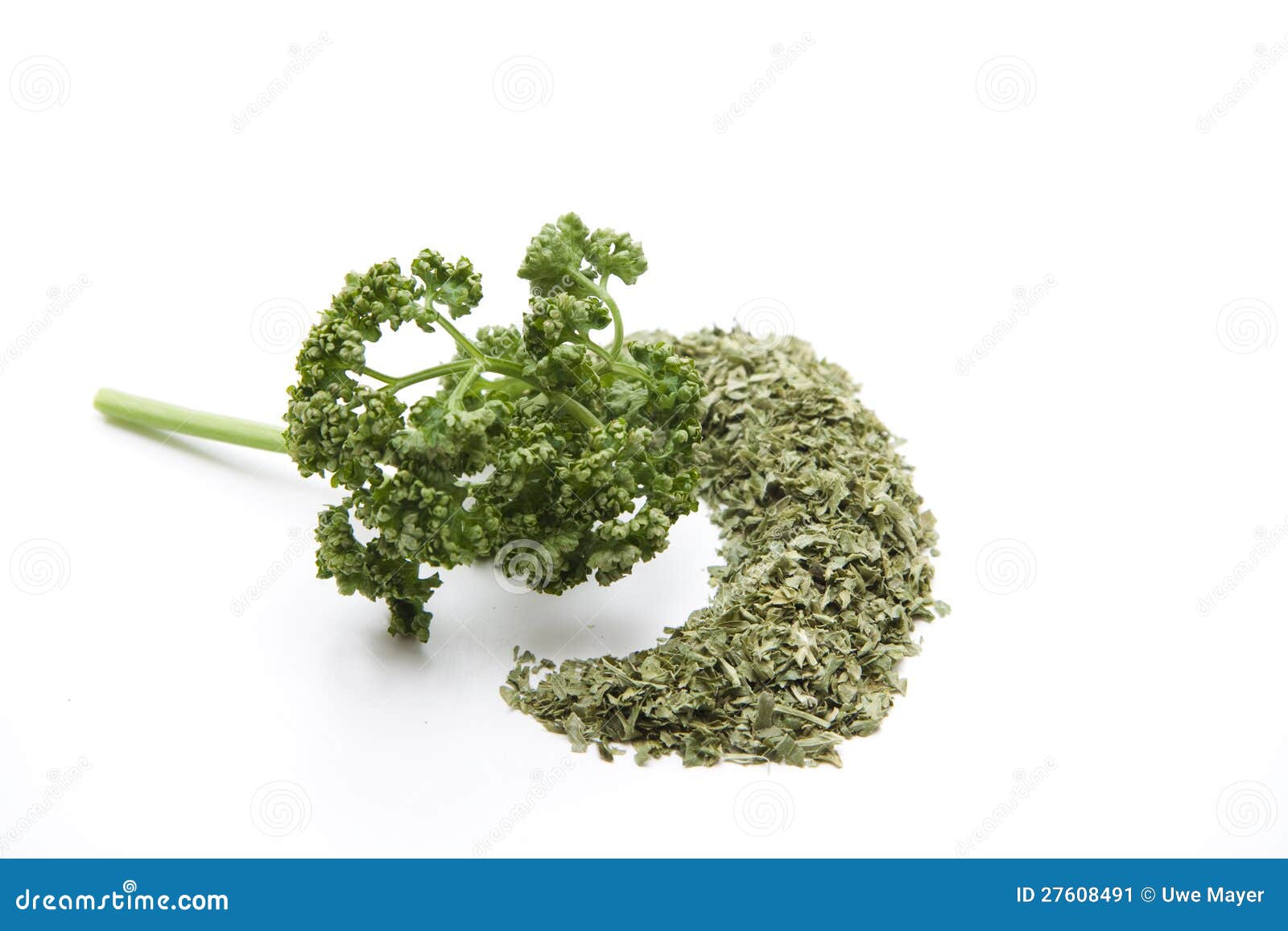 Parsley freshly and dryly stock image. Image of food - 27608491