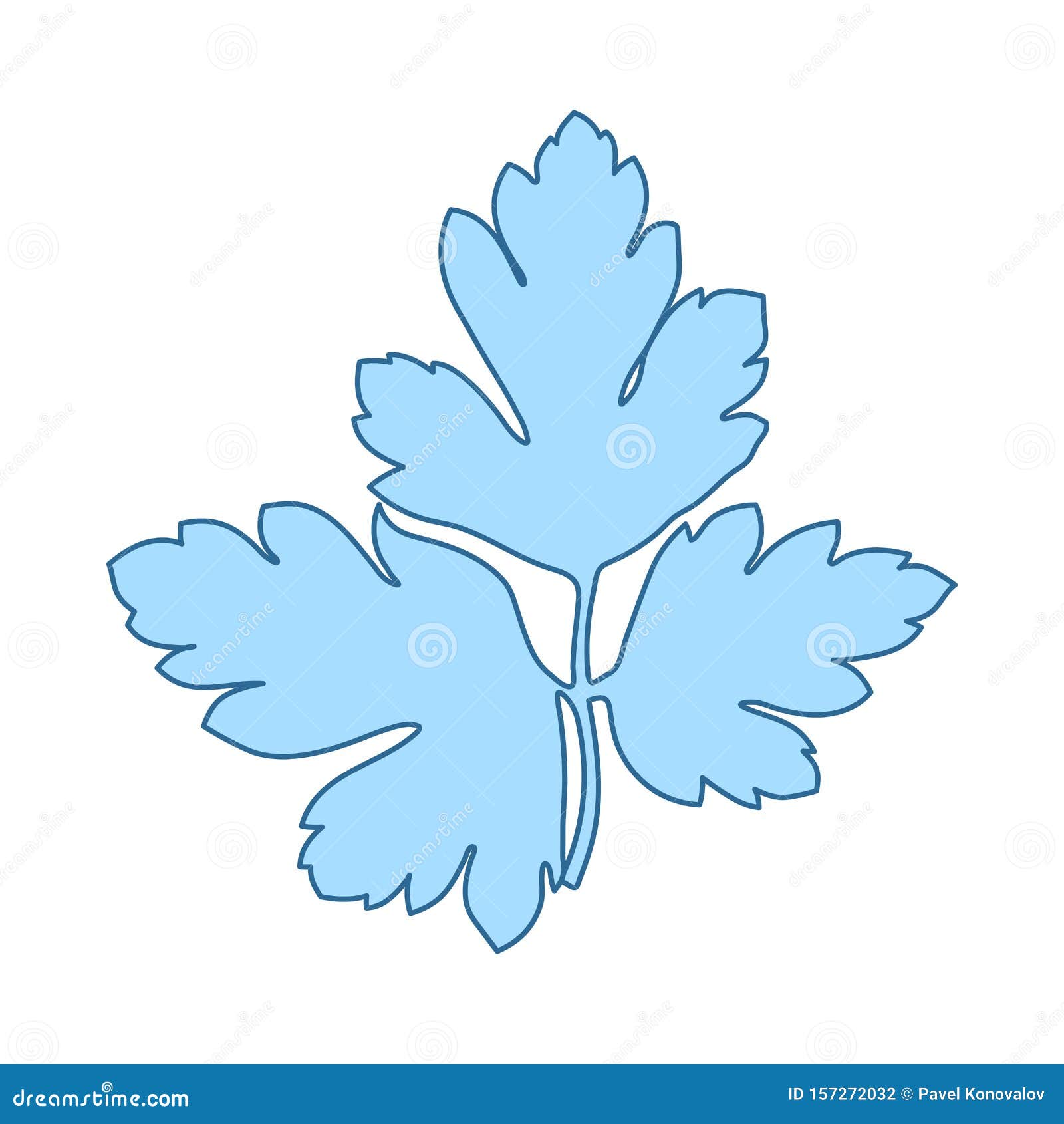 Parsley Icon stock vector. Illustration of green, branch - 157272032