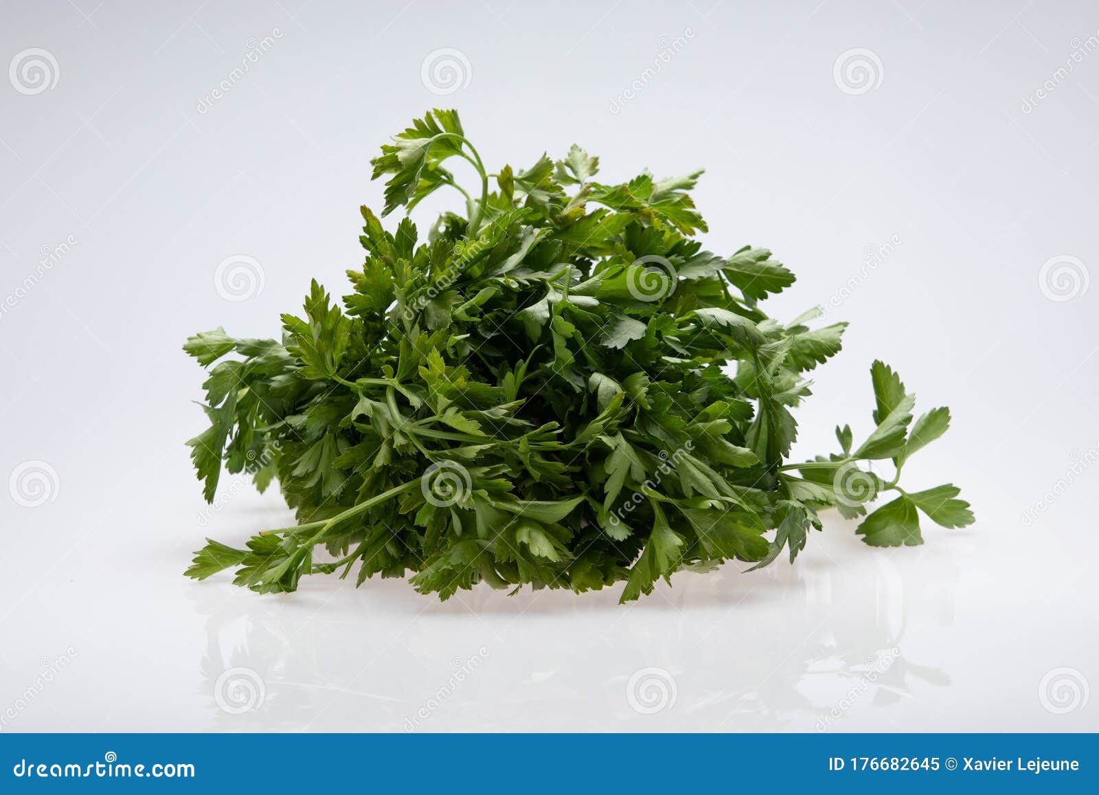 Parsley Isolated on white stock image. Image of natural - 176682645